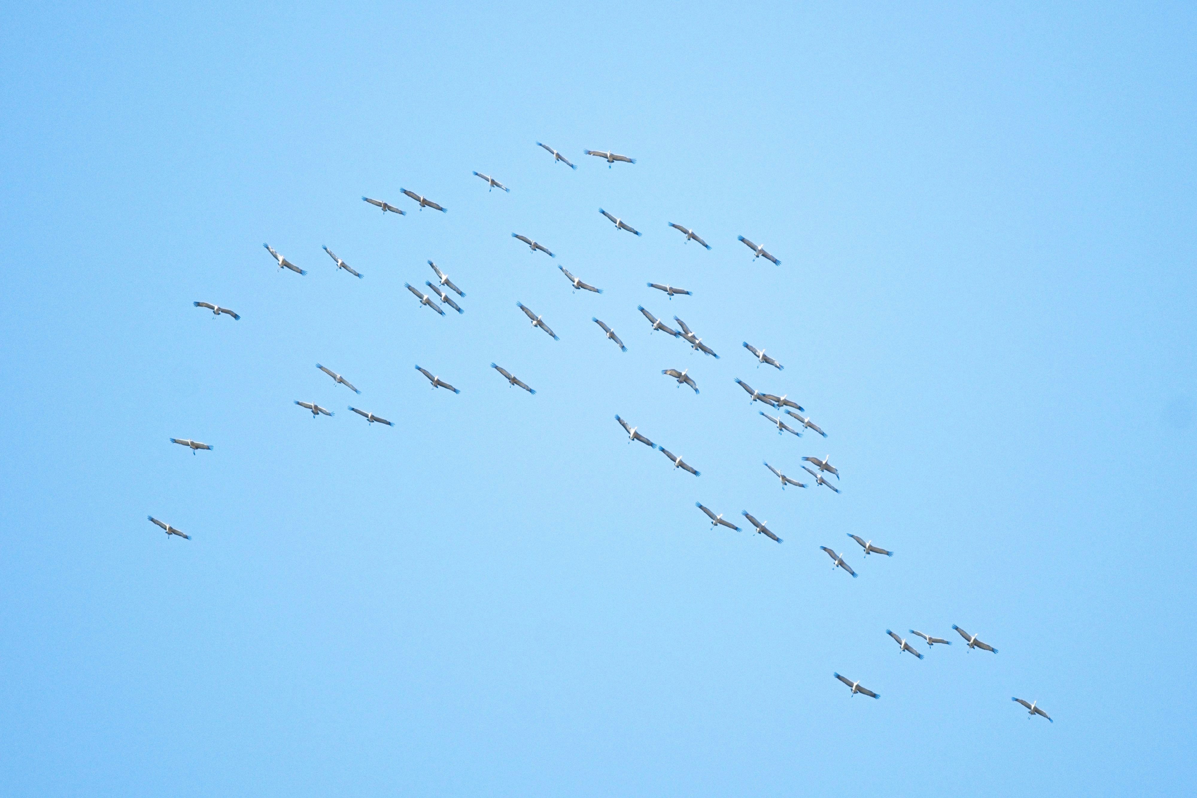 Photo by Noah Ridge with Fujifilm X-H2