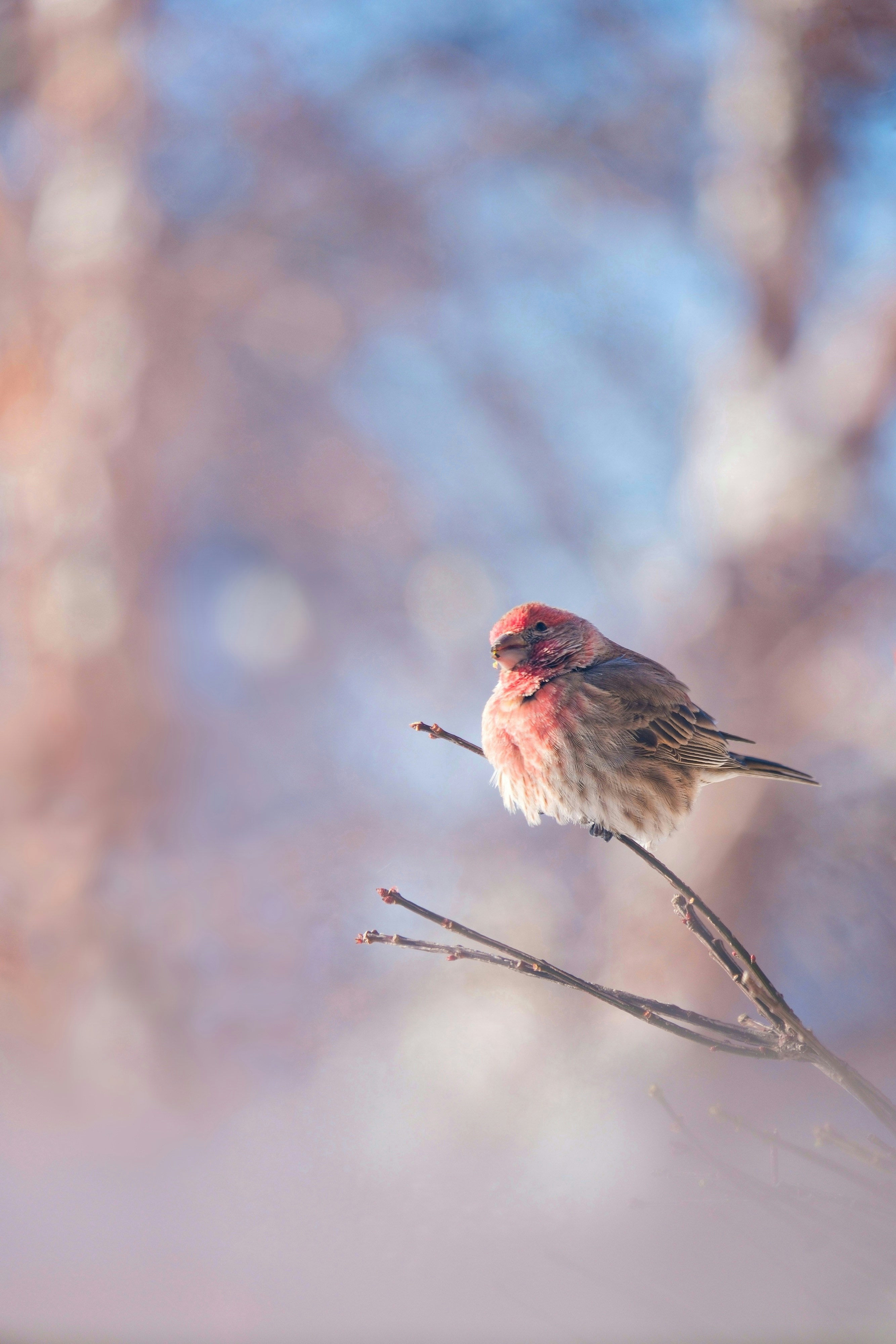 Photo by Noah Ridge with Fujifilm X-H2