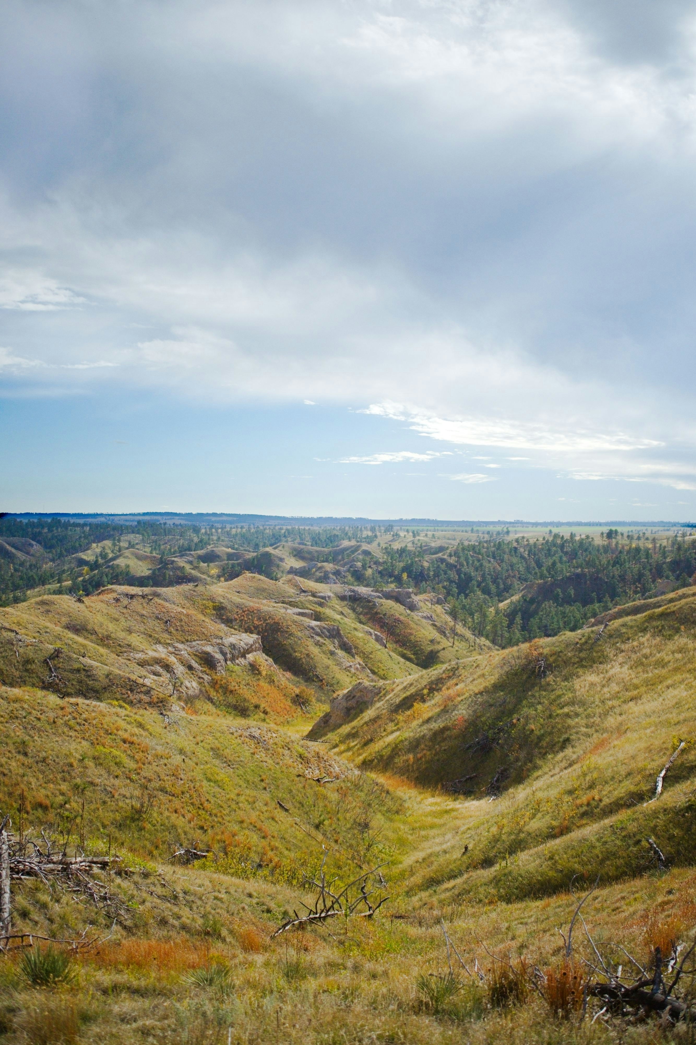 Golden Valleys Under a Quiet Sky