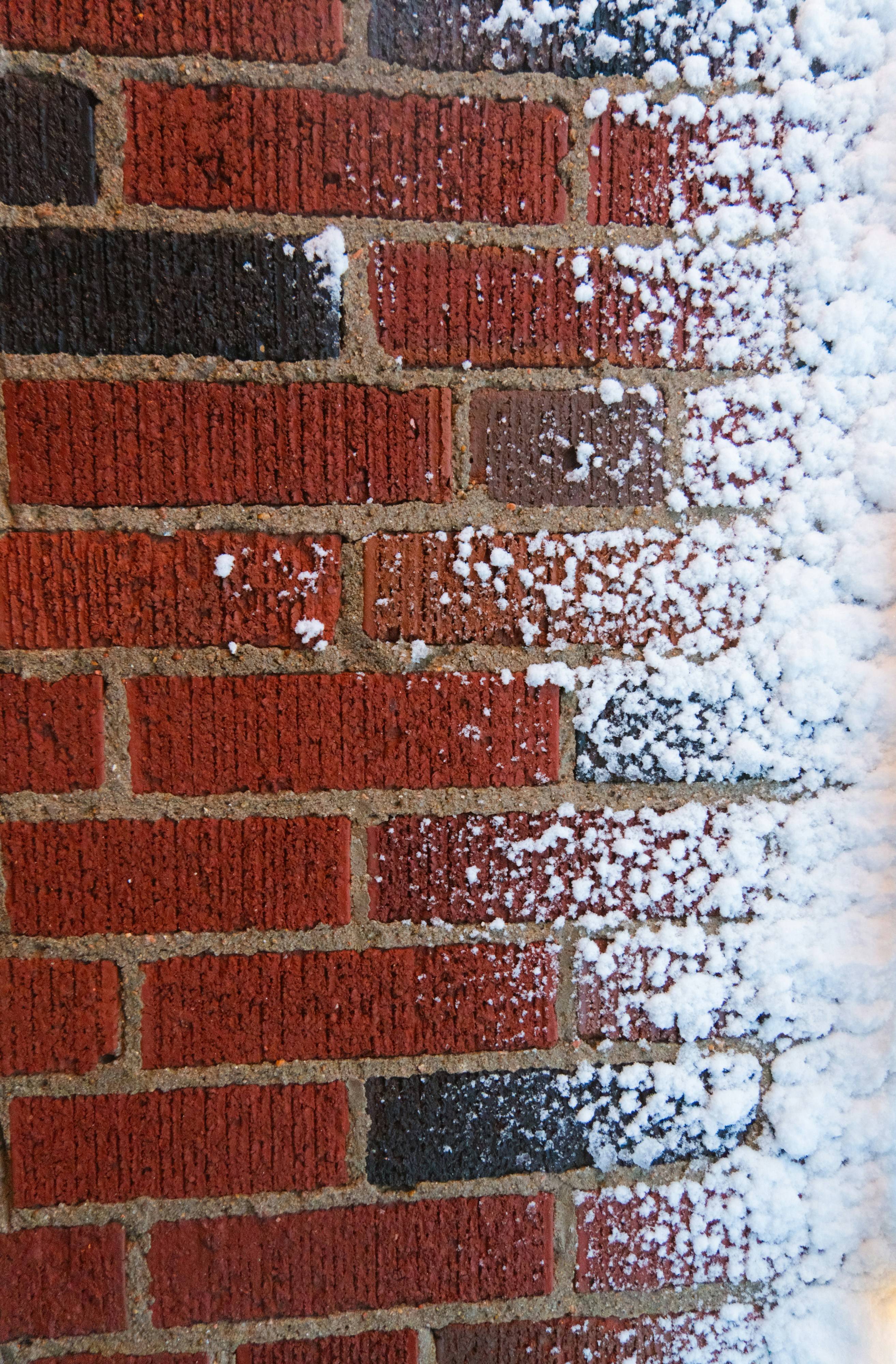 Photo by Noah Ridge with Fujifilm X-H2