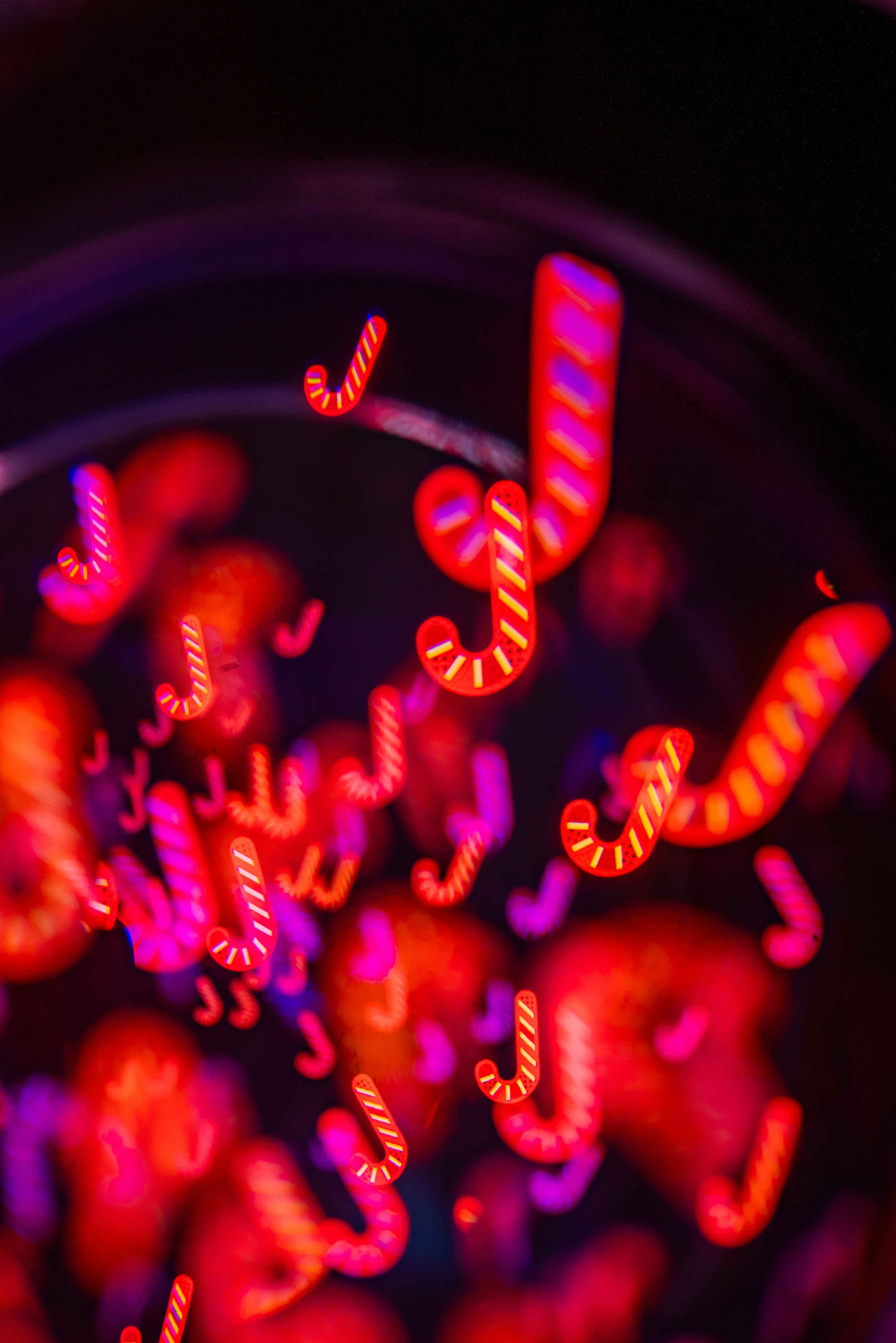 Crimson Neon Glyphs in Velvet Darkness