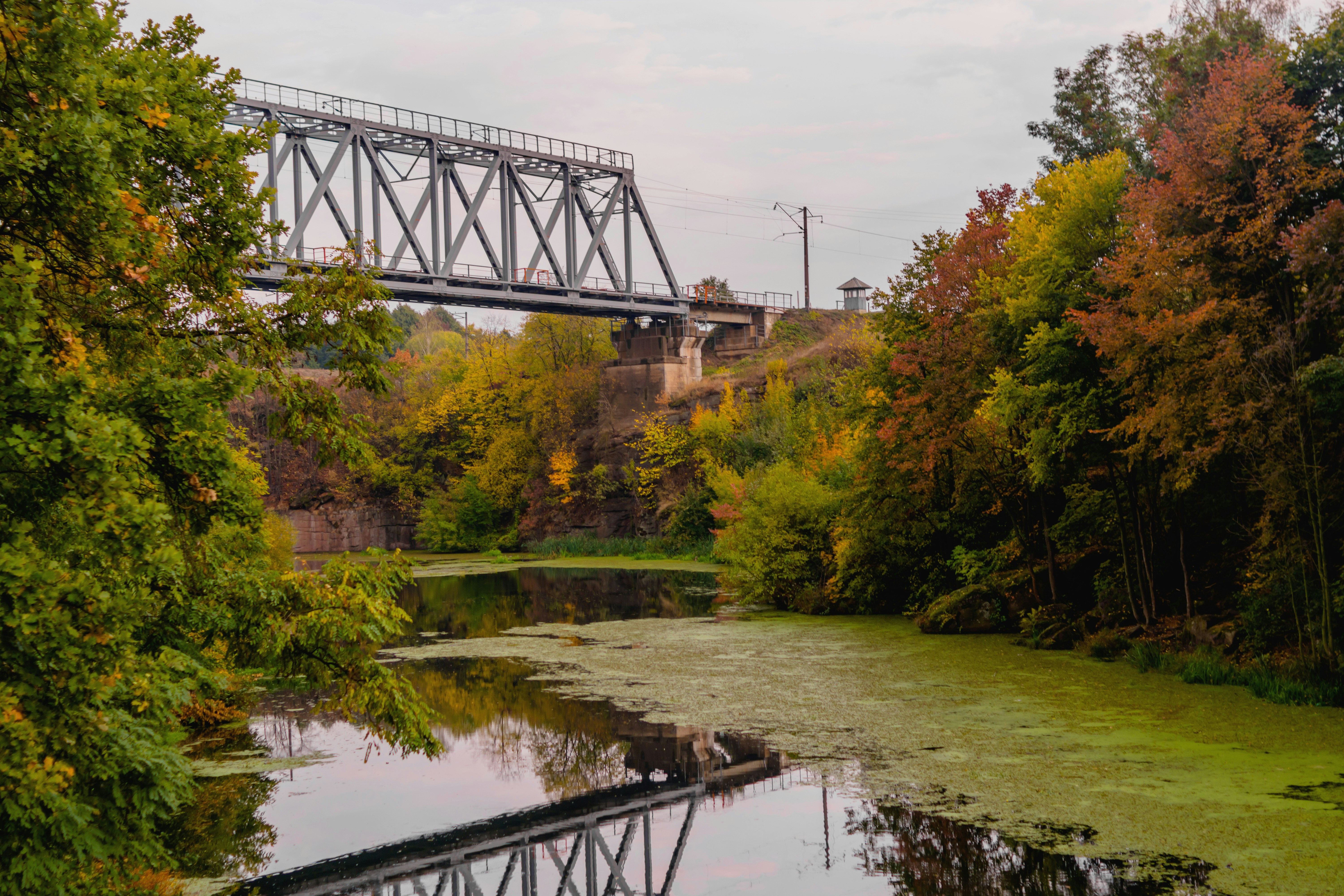 Photo by Eugenia Pan'kiv with Nikon D7100