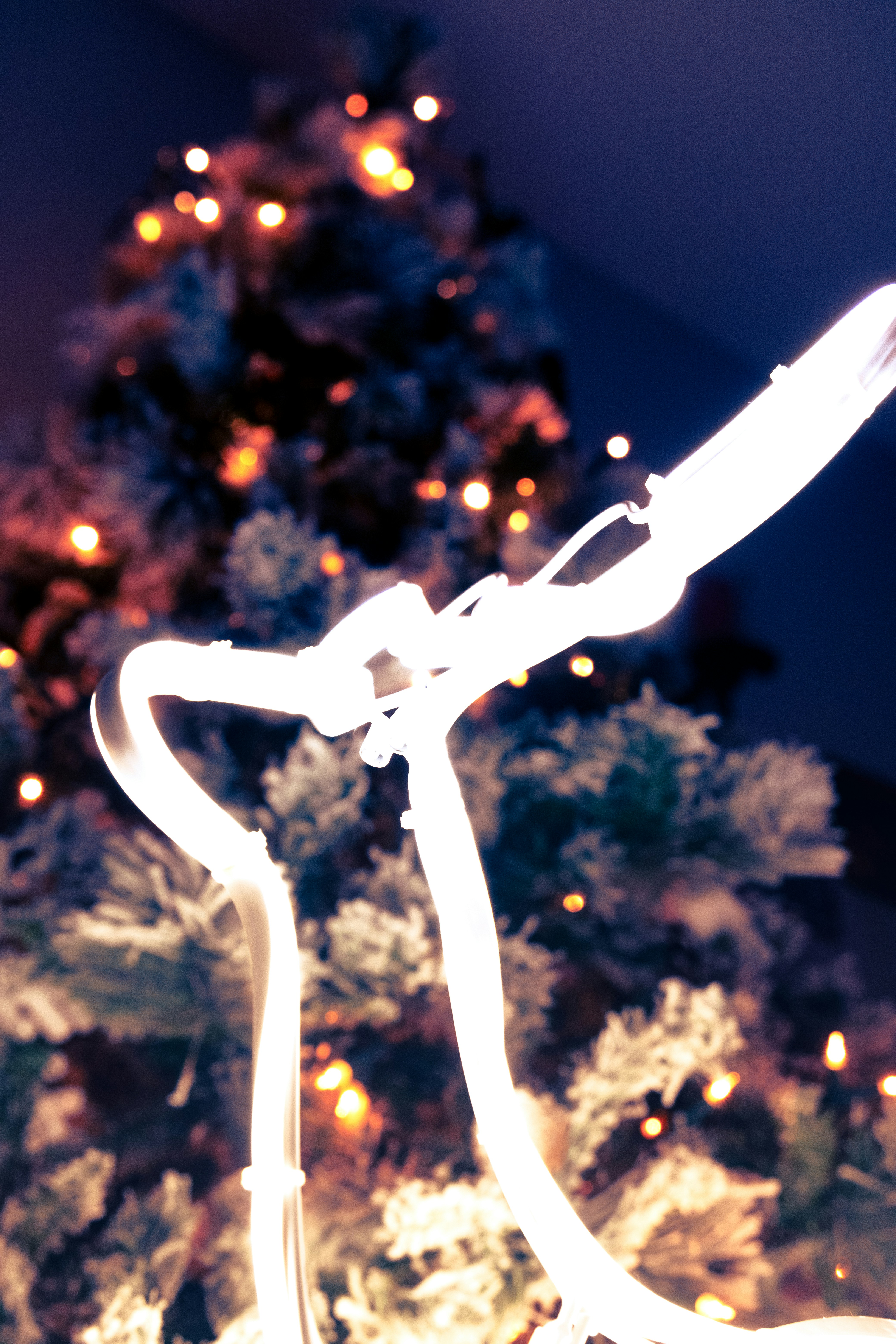 Neon Christmas Veil: A Curved Light String Illuminates a Frosted Tree