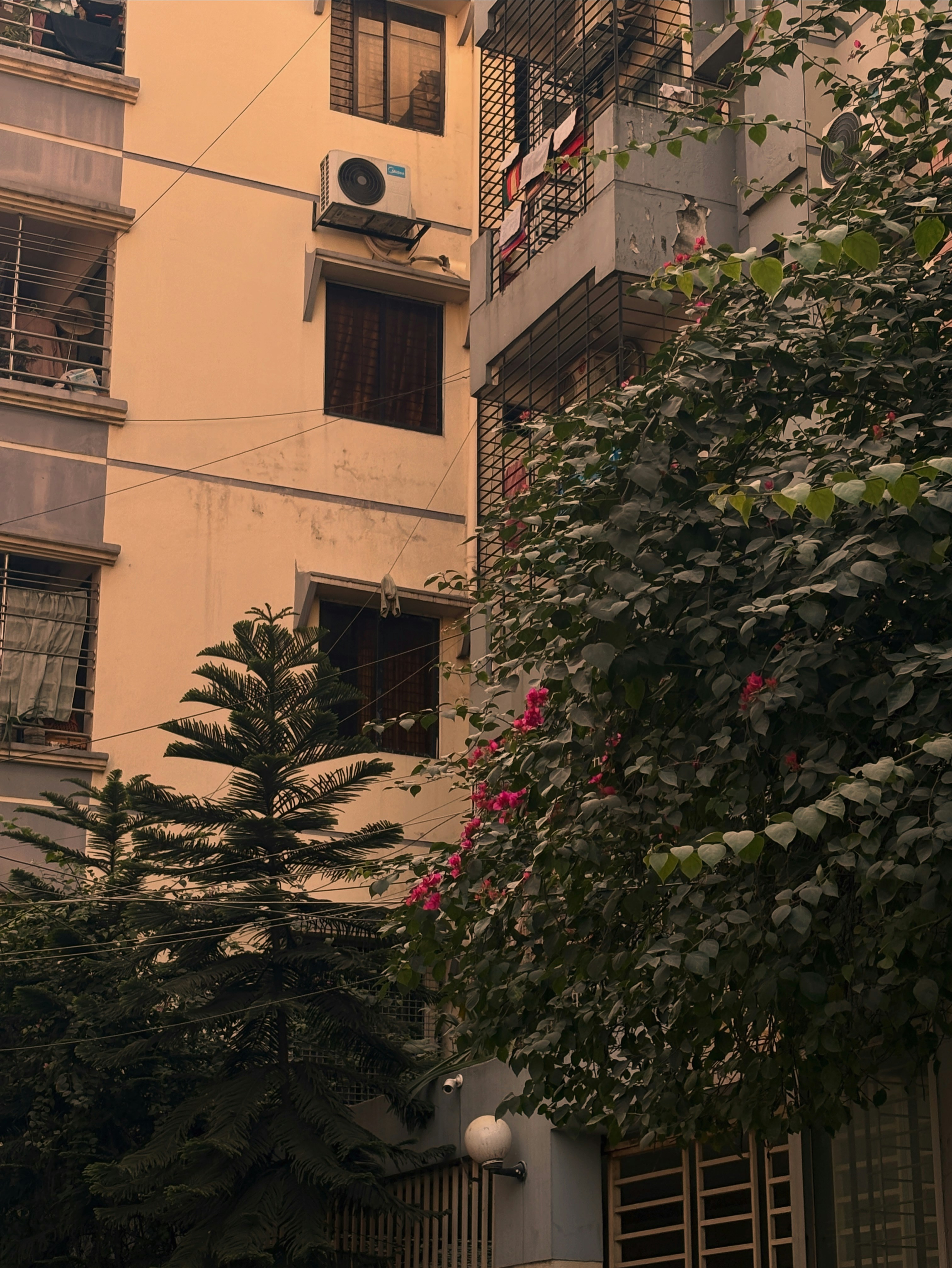 Photo by CN VEYTH with Apple iPhone 16