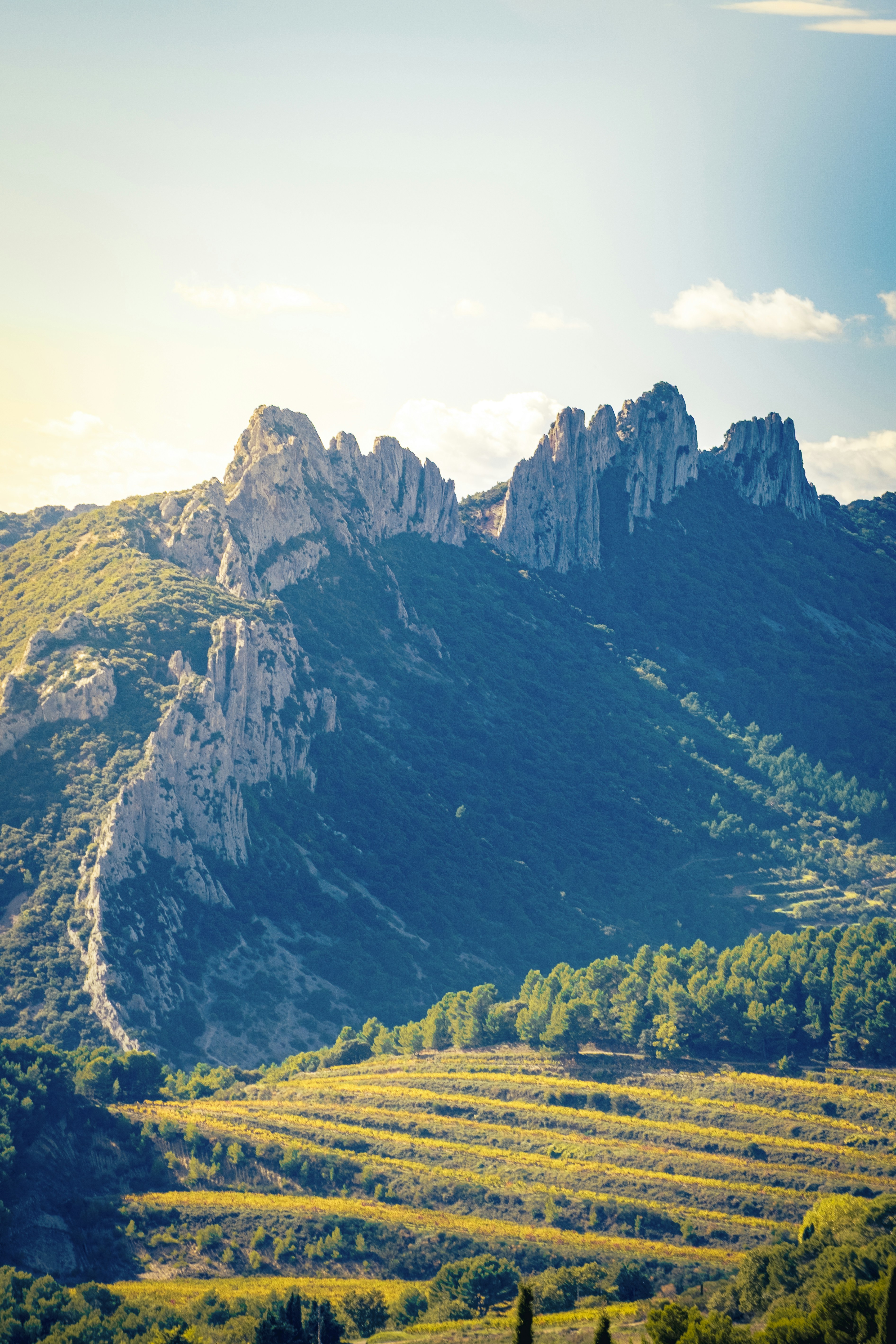 Terraced Valleys Beneath a Rugged Mountain Ridge