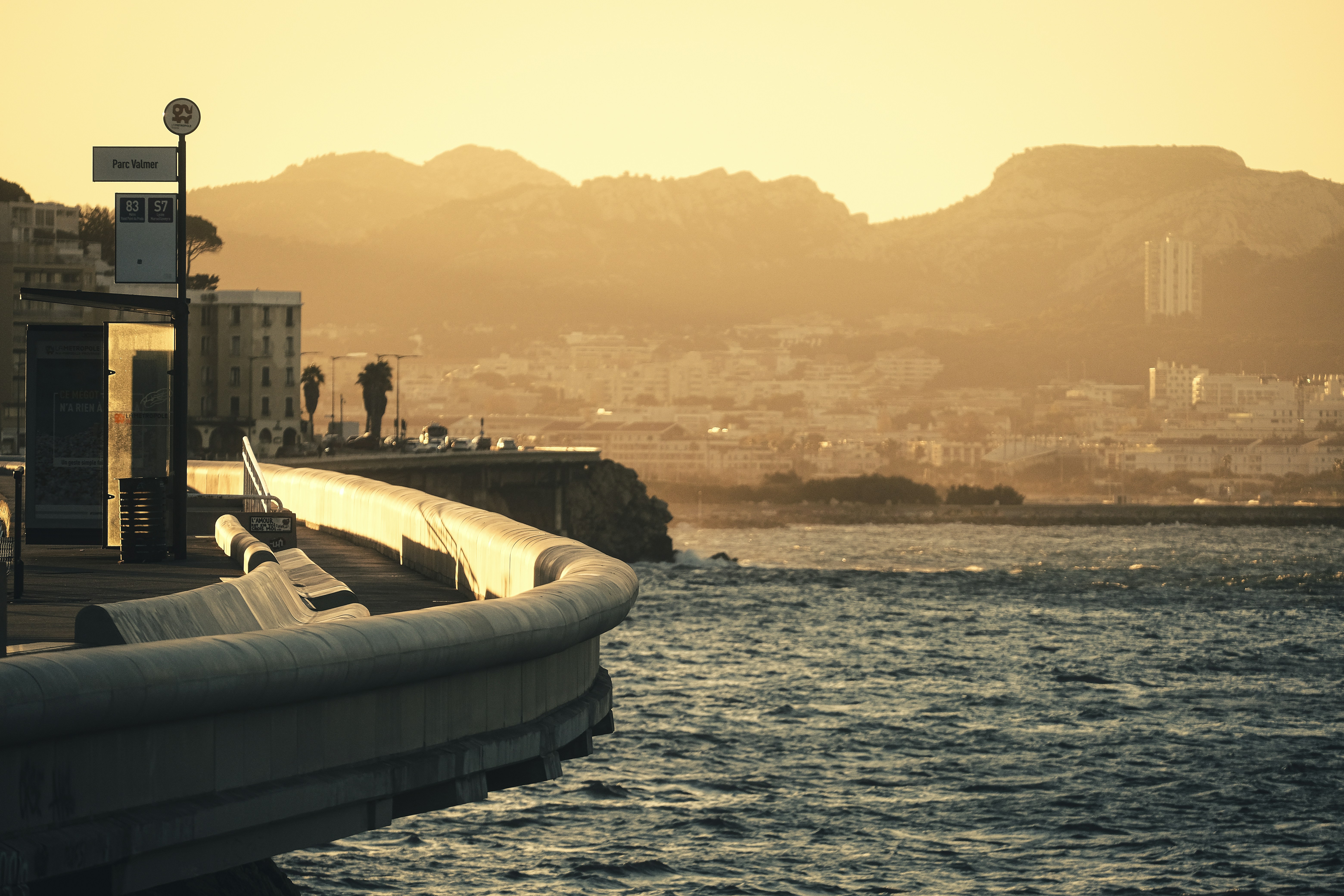 Golden Hour Silhouettes Along the Seawall