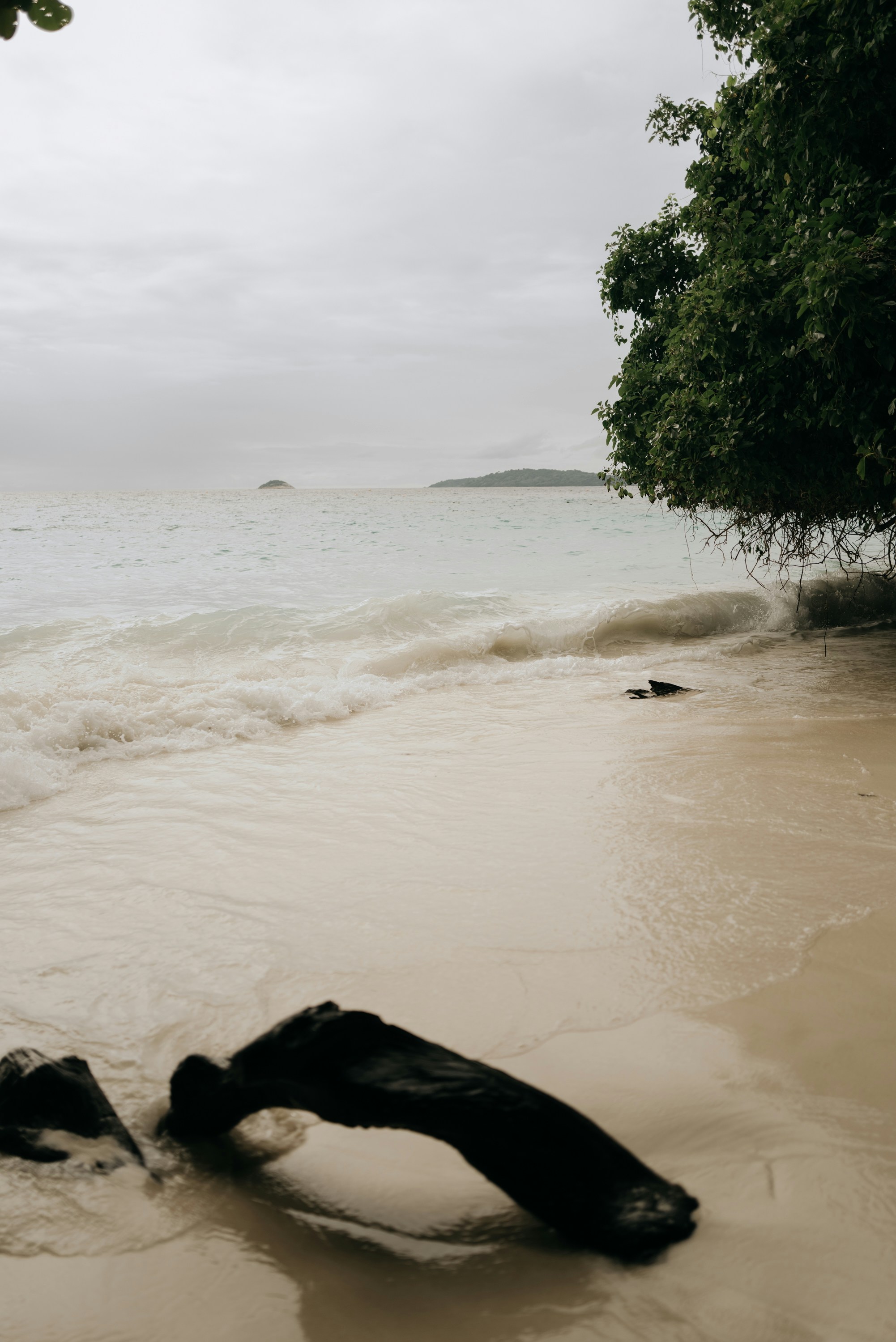 Photo by Victoria Plakhina with Leica Q2