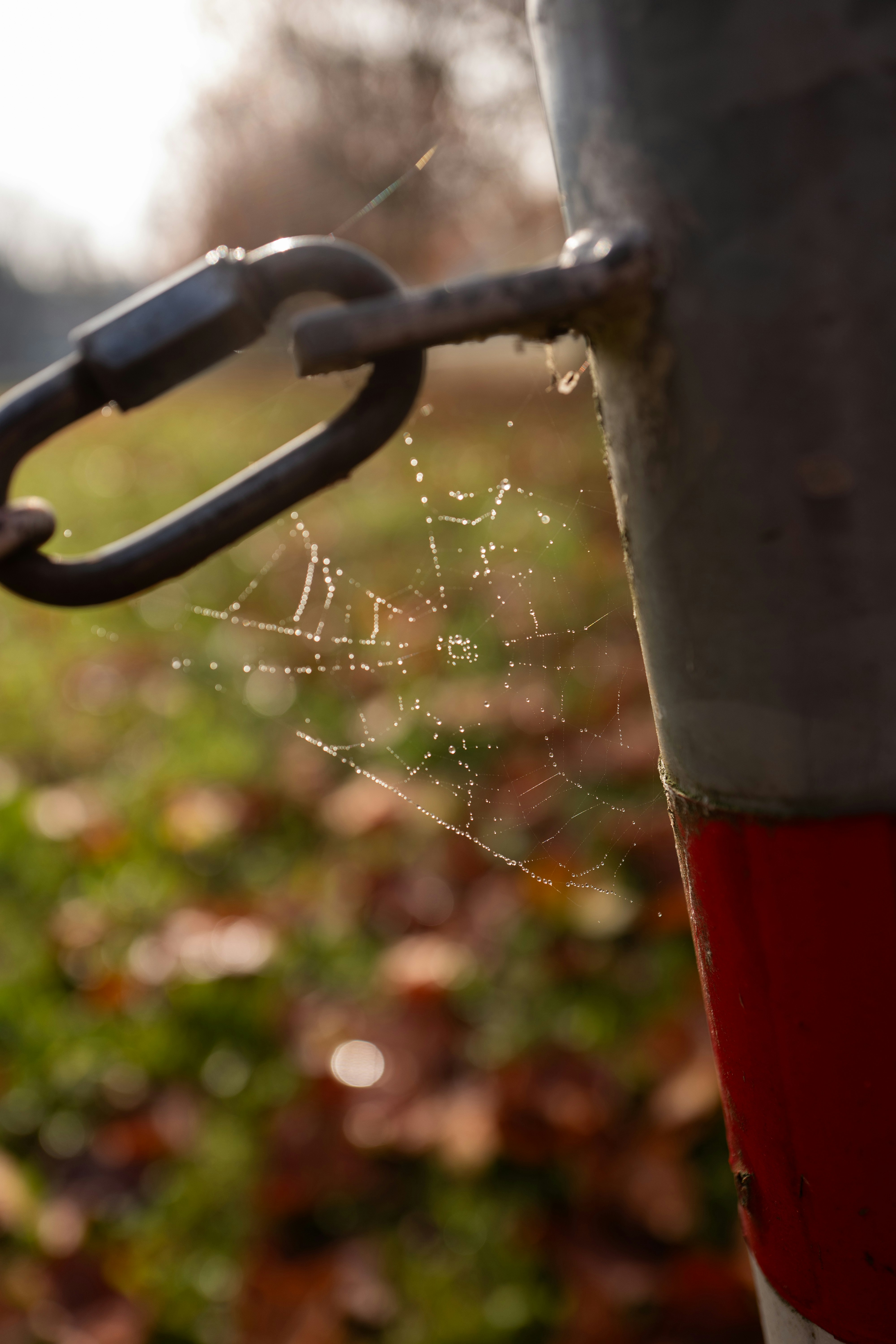 Delicate spider web strands coated with dew hang between a metal chain and a wooden post, softly illuminated in warm morning light with autumn leaves blurred in the background.