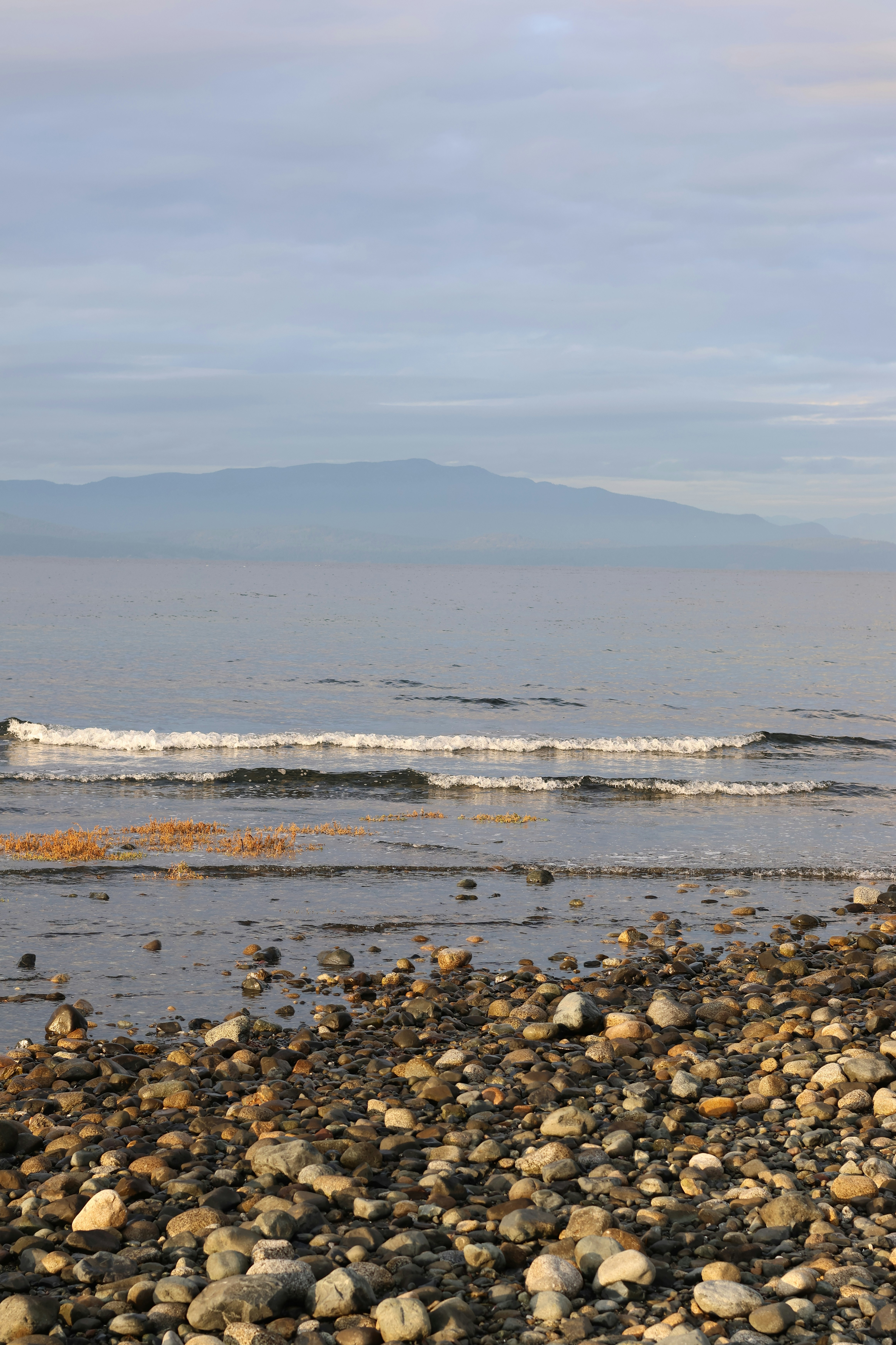 Pebble Shoreline Breathes Under Distant Mist