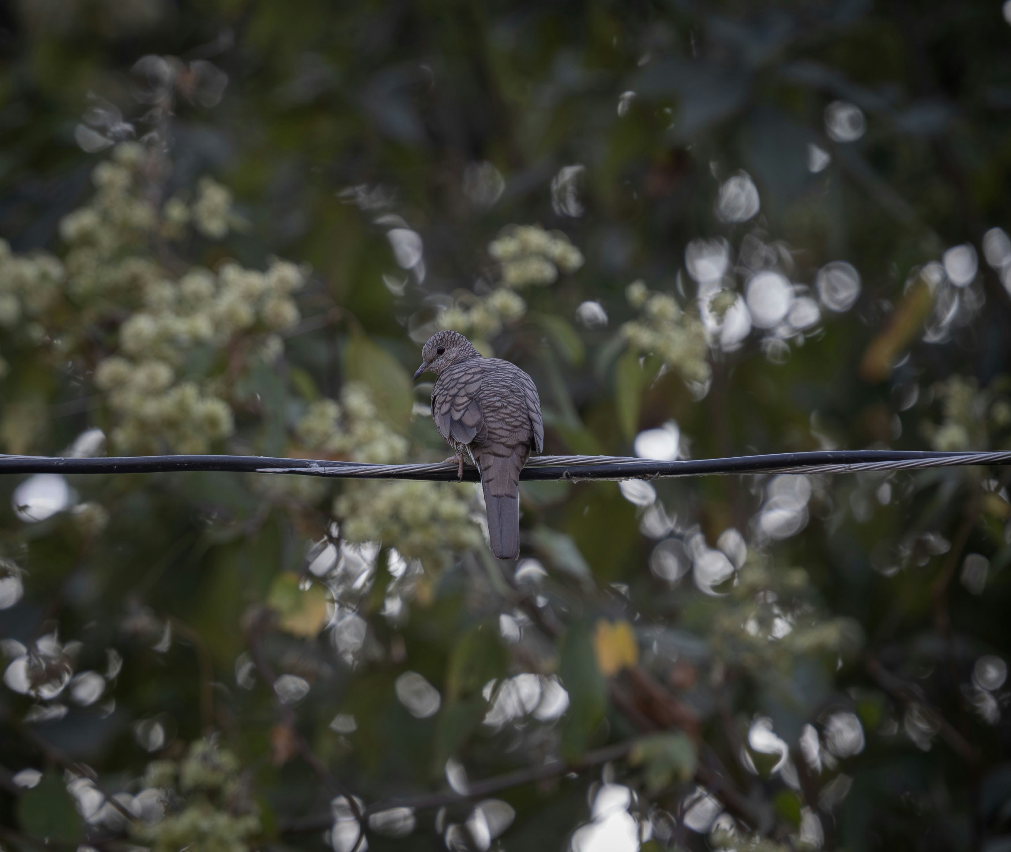 Photo by Alfonso Betancourt with Canon EOS R