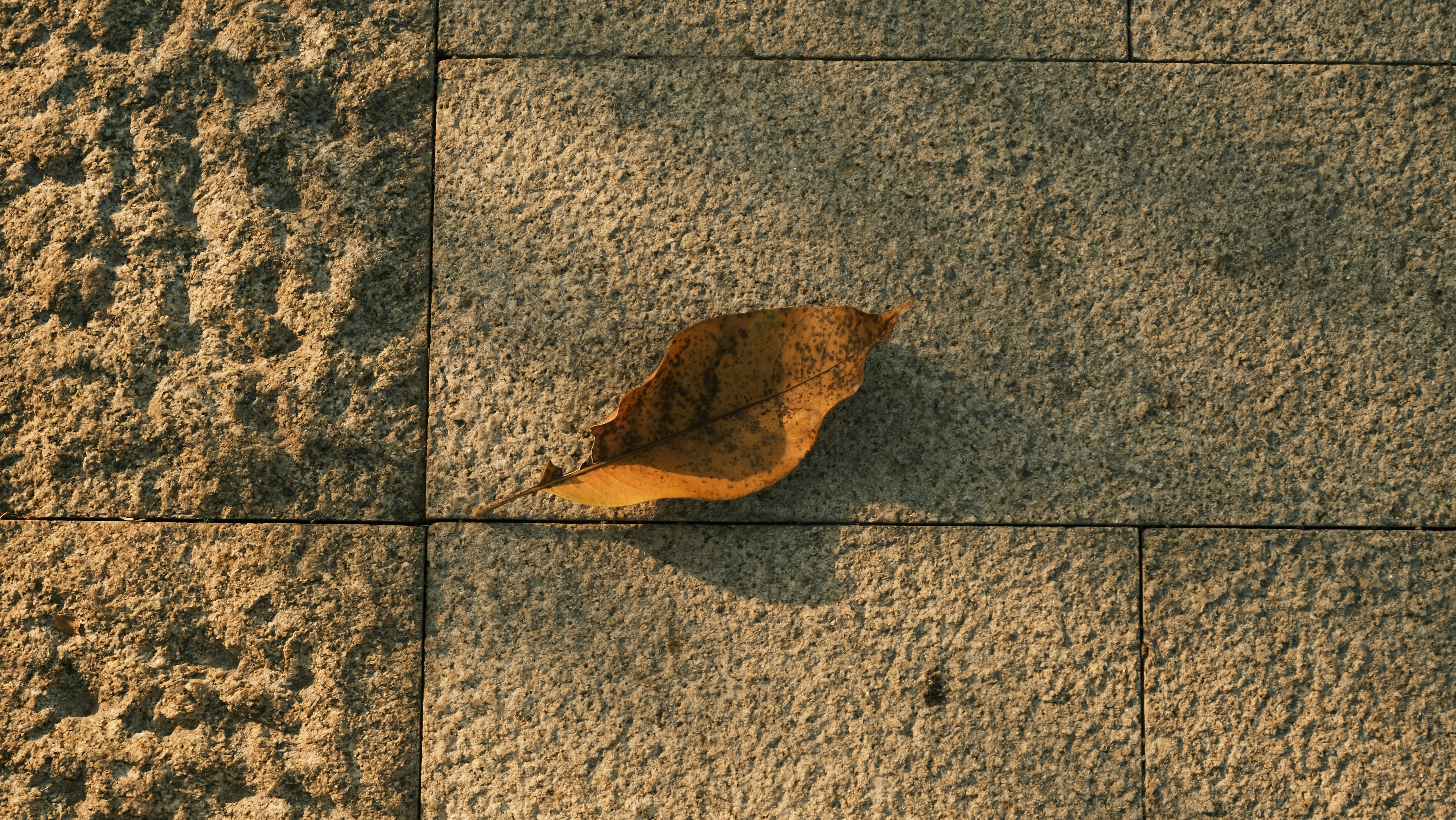 Photo by 瑞秋 Z with Fujifilm X-T30 II