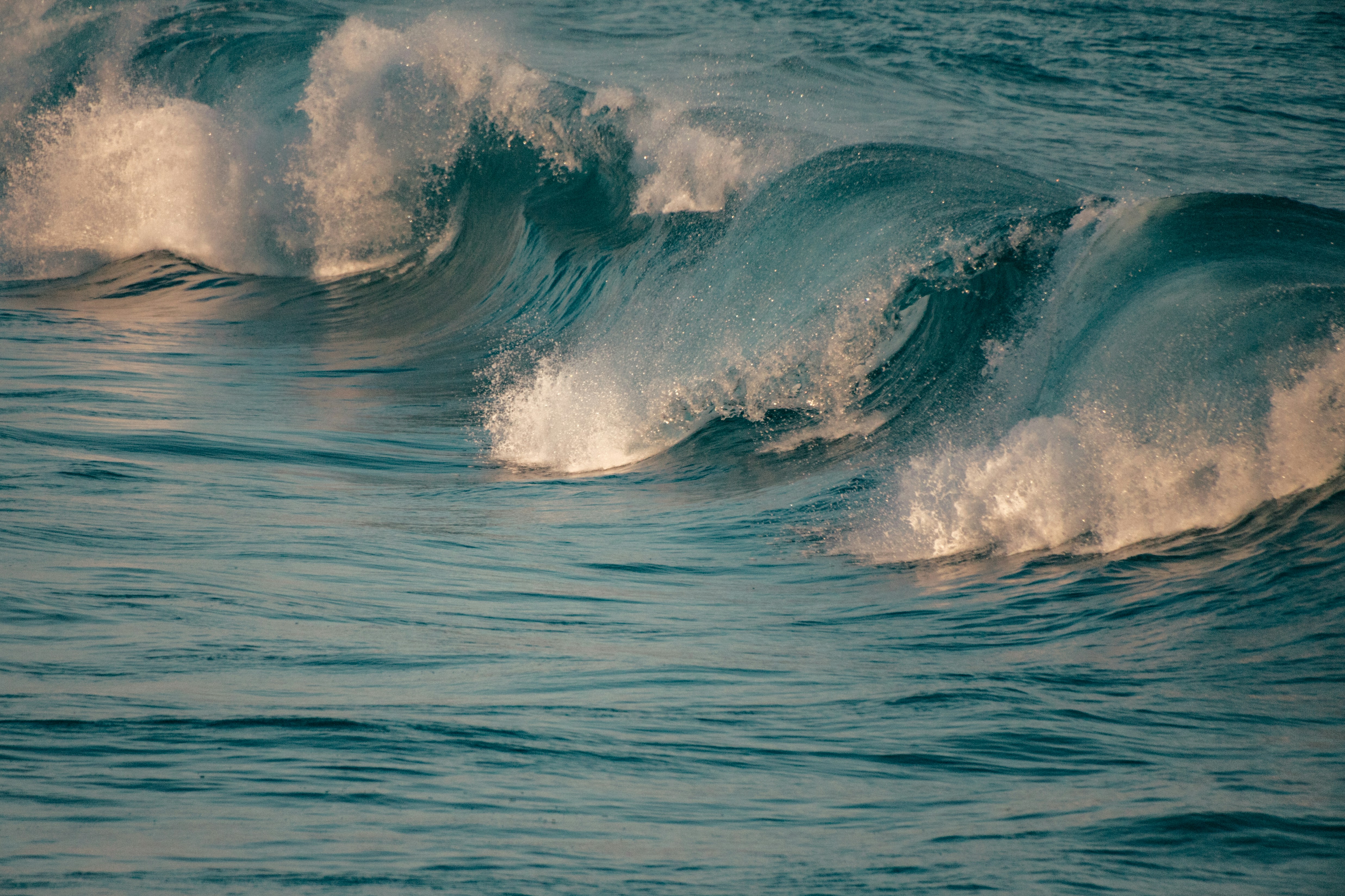 Crescent Crest: A Close Look at a Breaking Wave