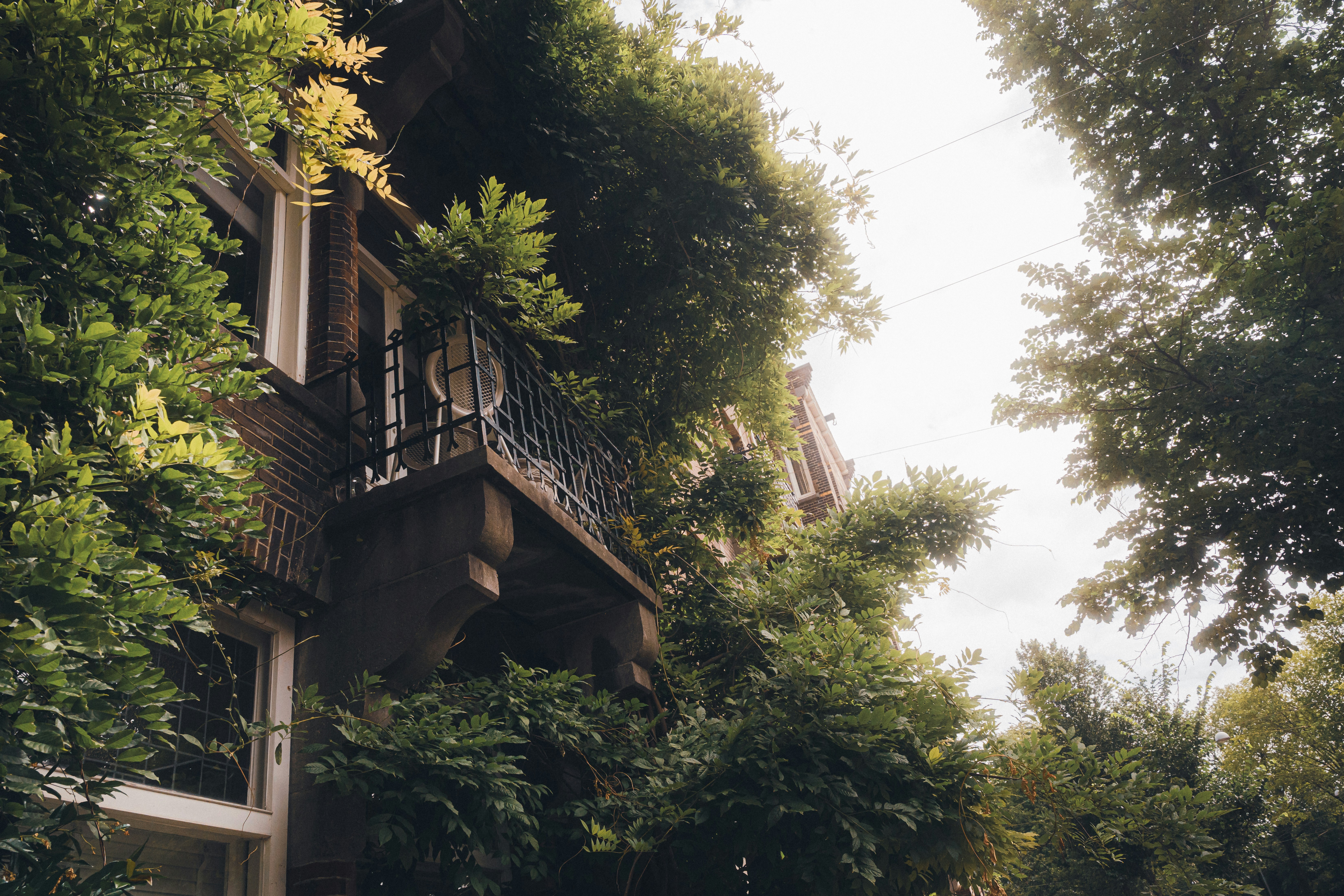 Photo by Malcolm Broström with Sony Alpha 7 IV