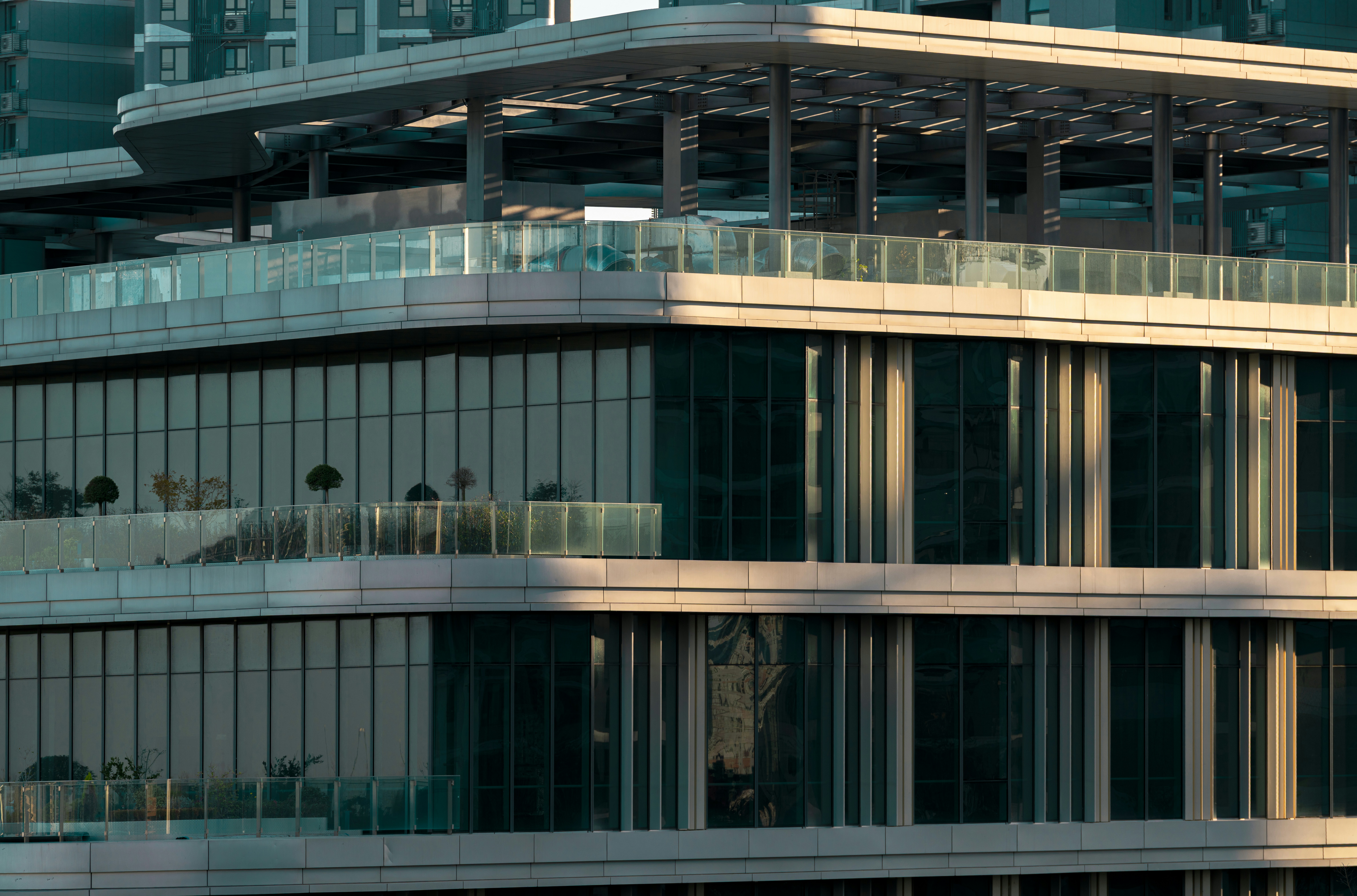 Photo by Declan Sun with Sony Alpha 7R V