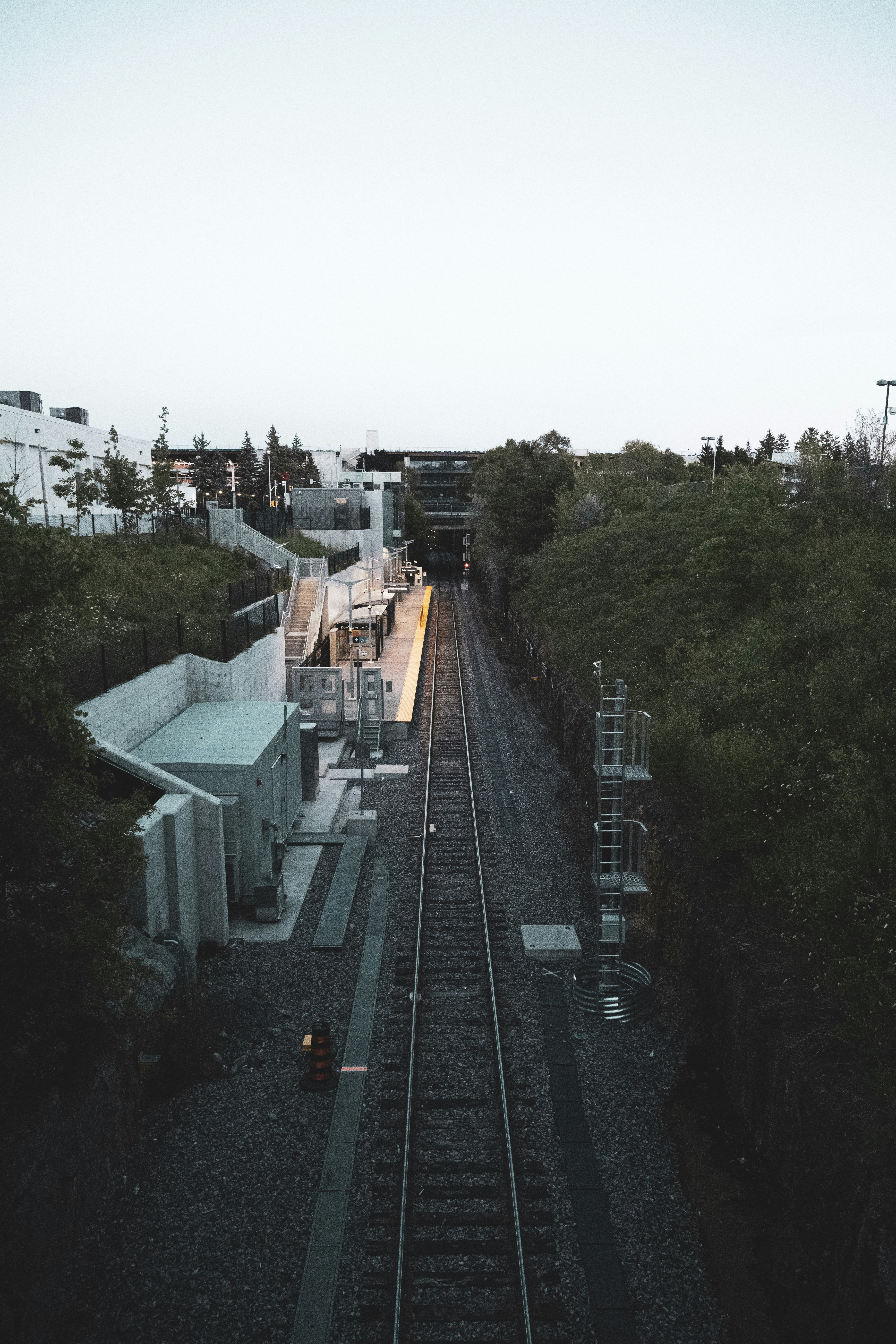 Convergence on the Rails: Quiet Morning Between Platform and Trees
