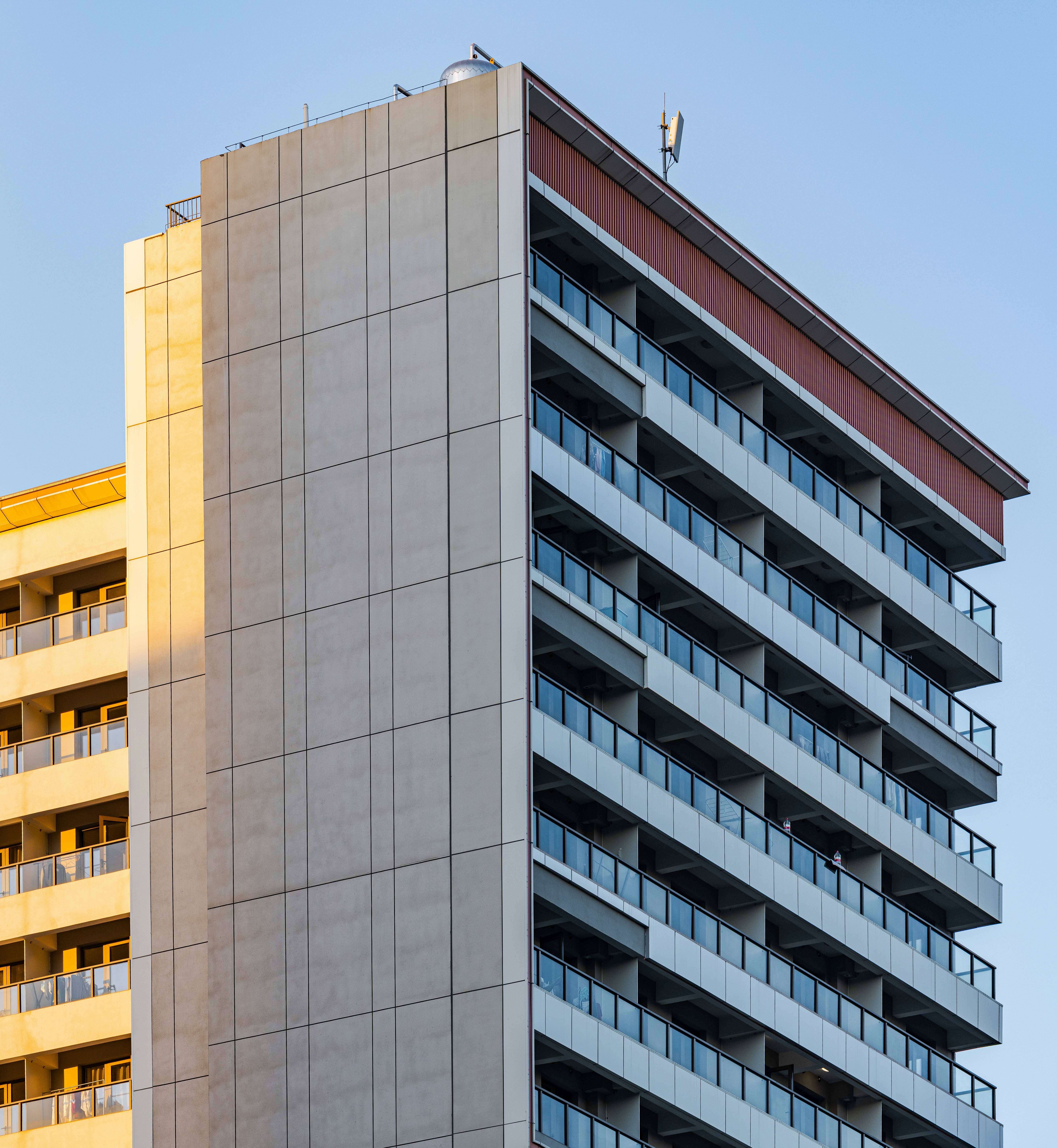 Photo by Declan Sun with Sony Alpha 7R V