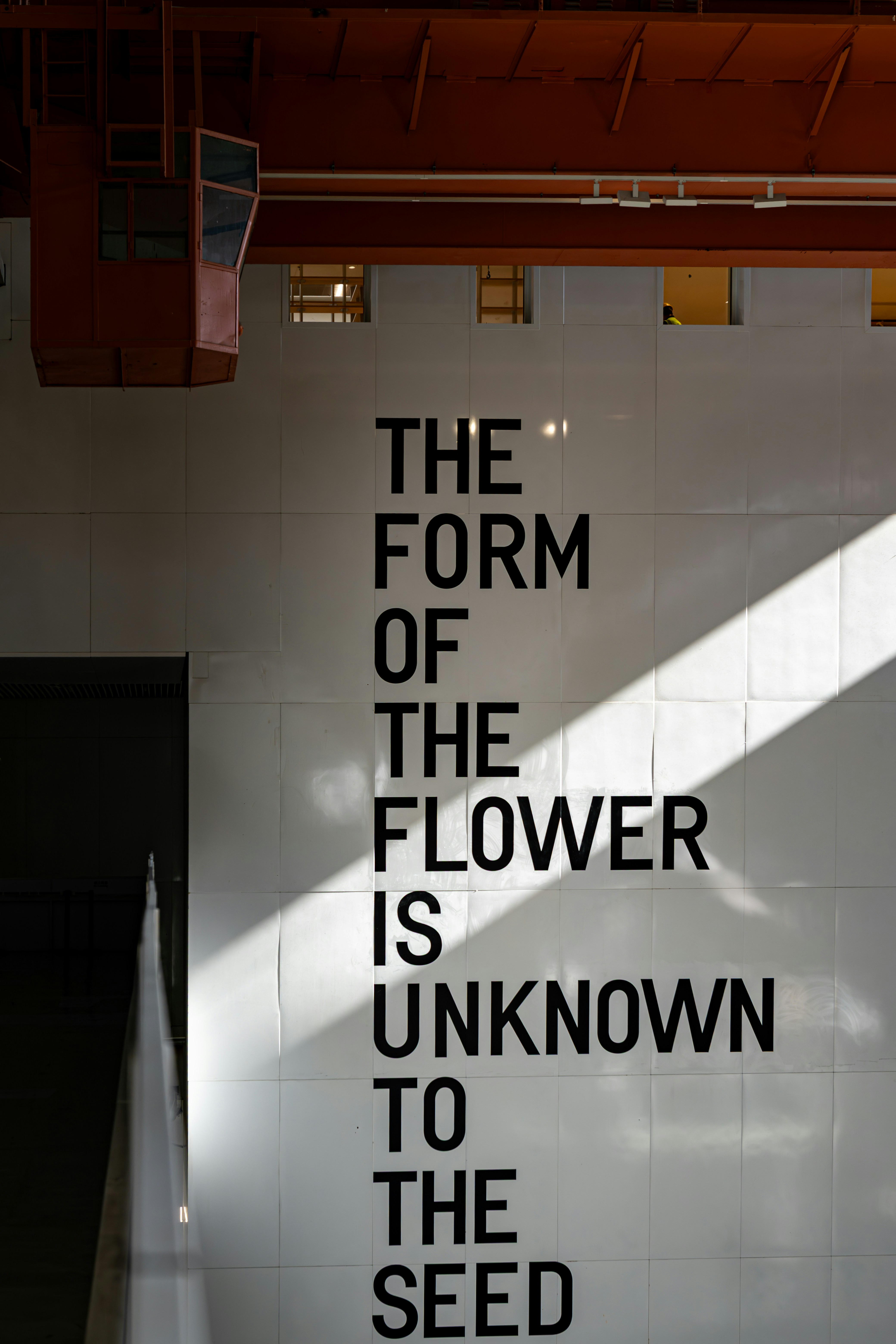 Vertical Manifesto: The Form of the Flower Is Unknown to the Seed