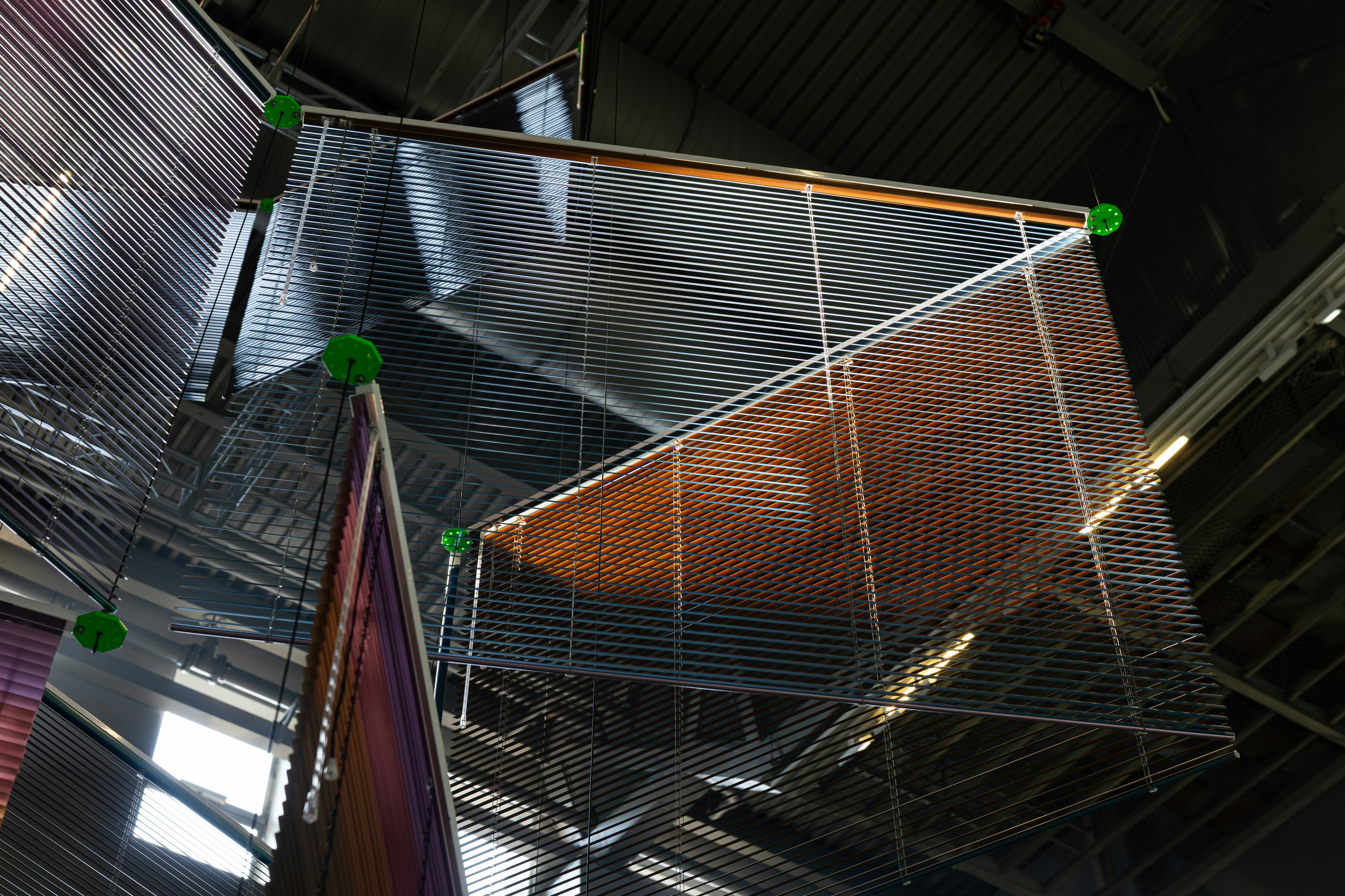 Photo by Declan Sun with Sony Alpha 7R V