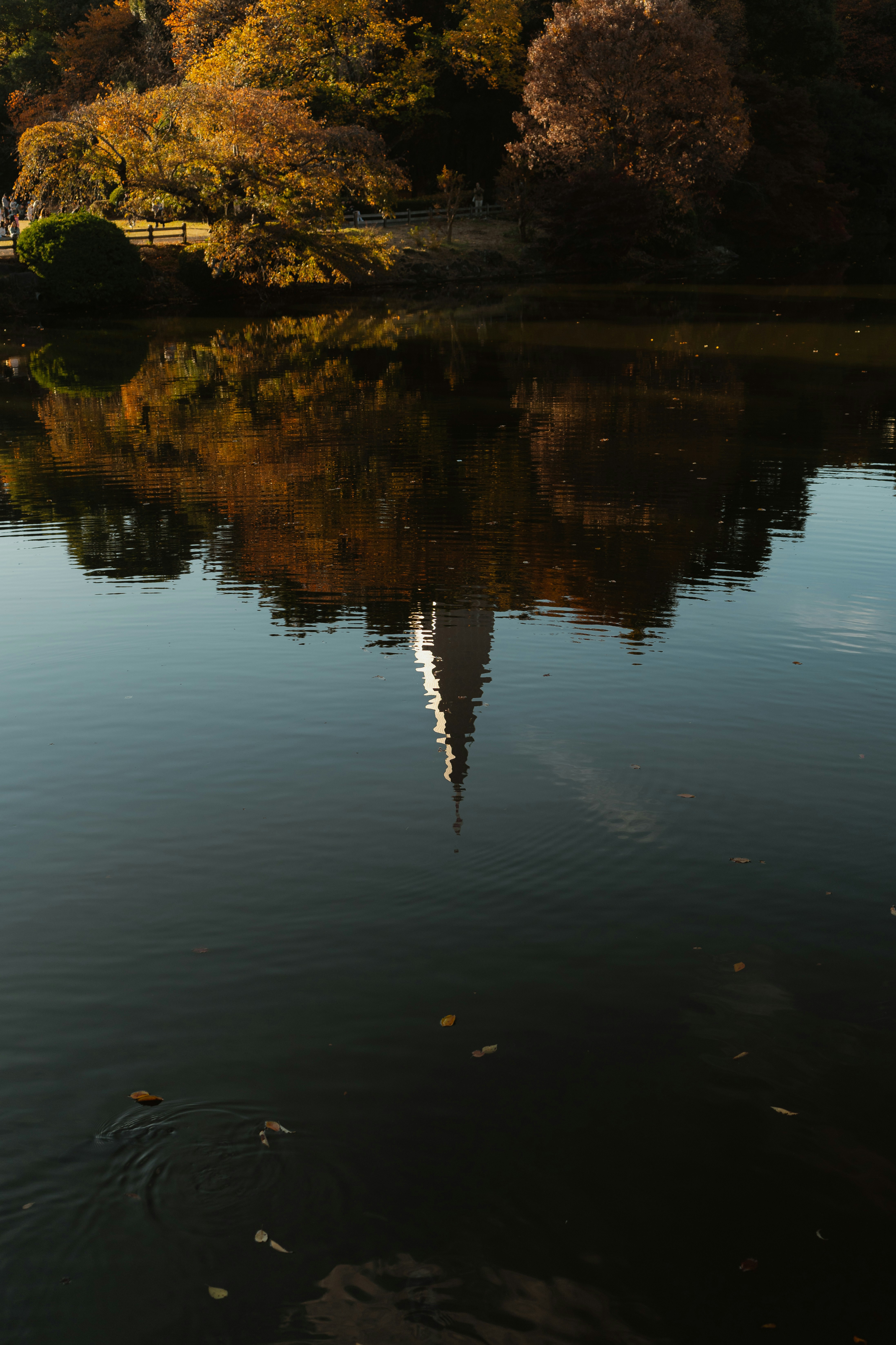 Photo by Takashi S with Sony Alpha 7C II