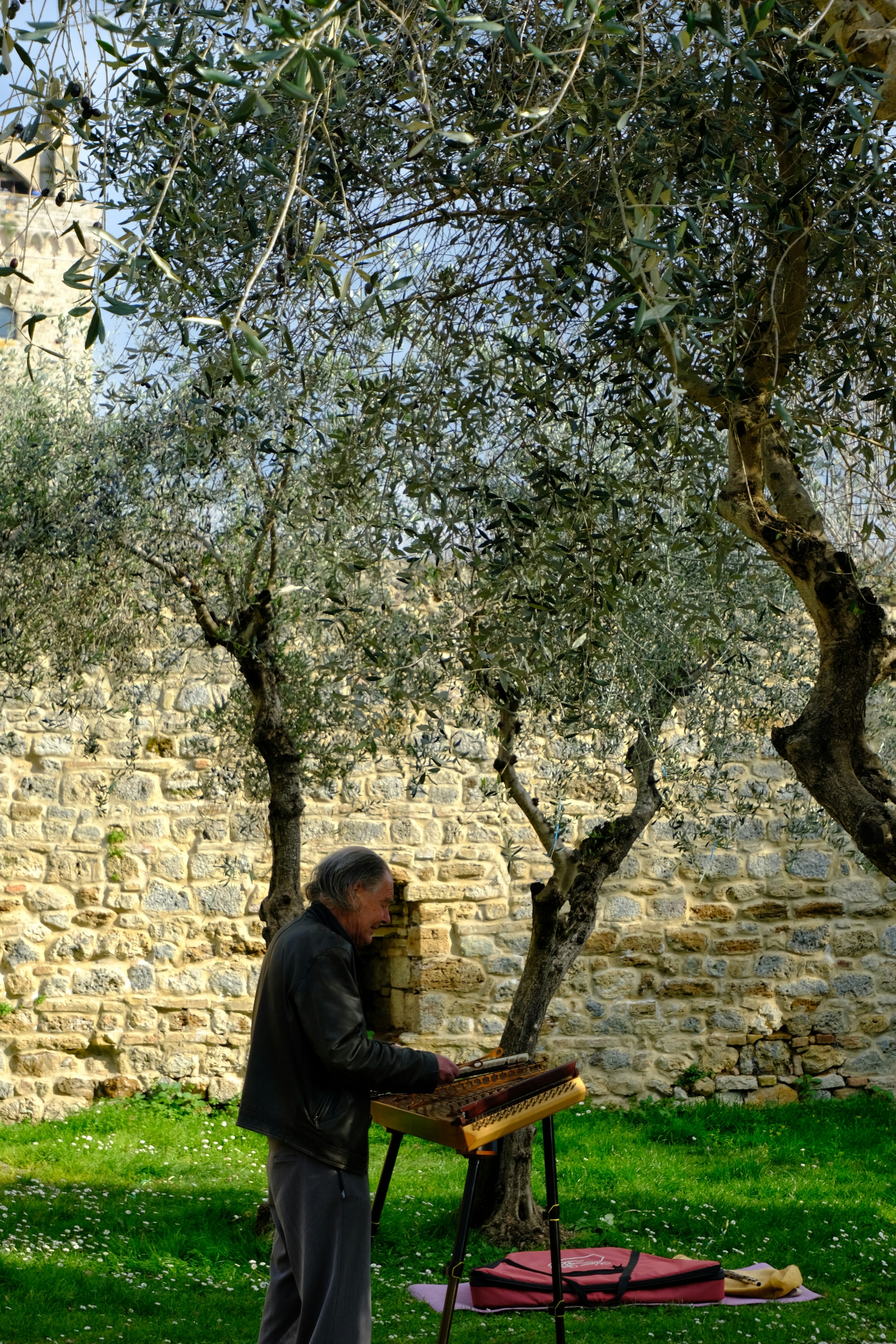 Hushed Strings Under Olive Canopy