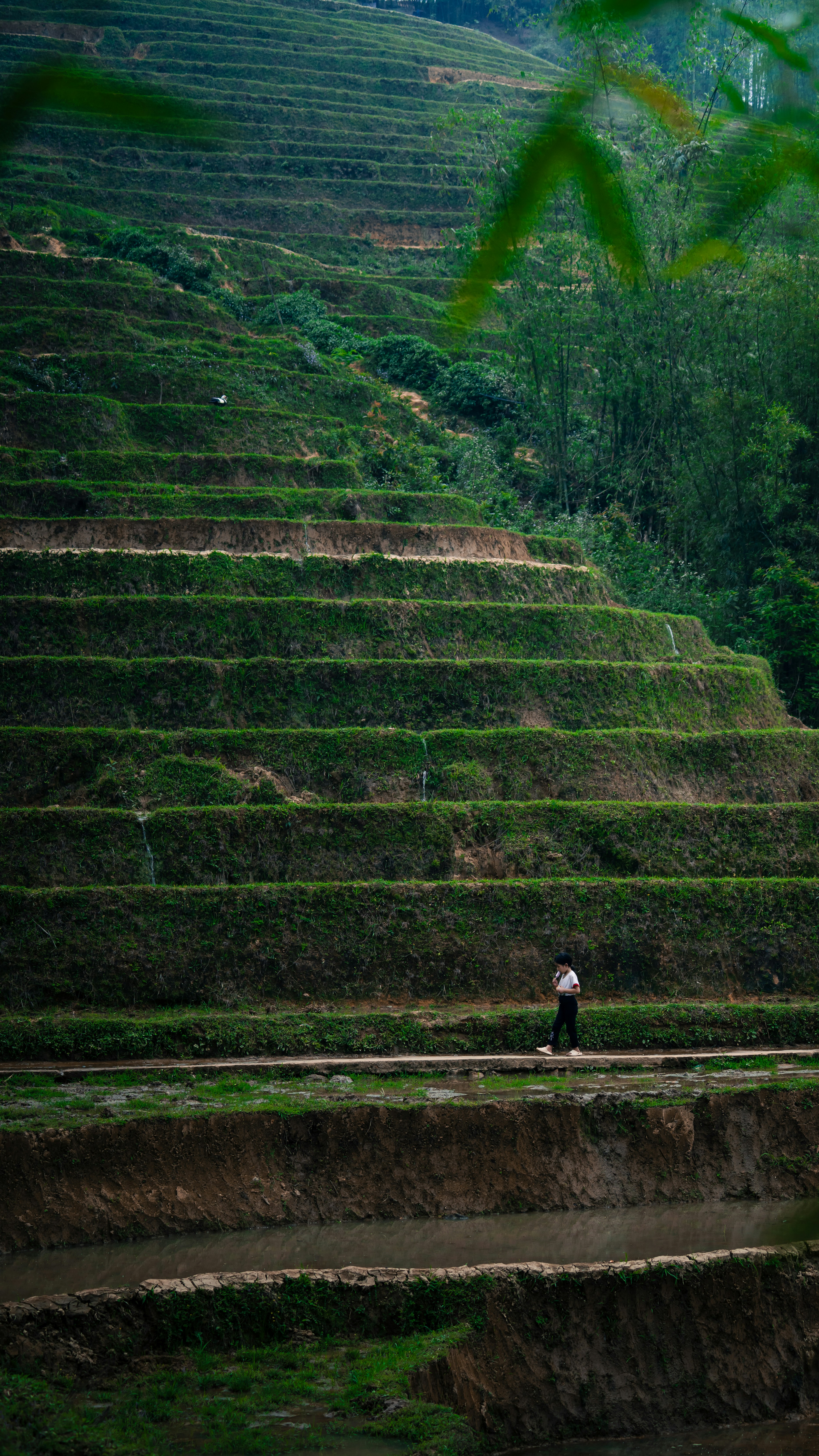 Photo by Sam Carter with Sony Alpha 7 IV