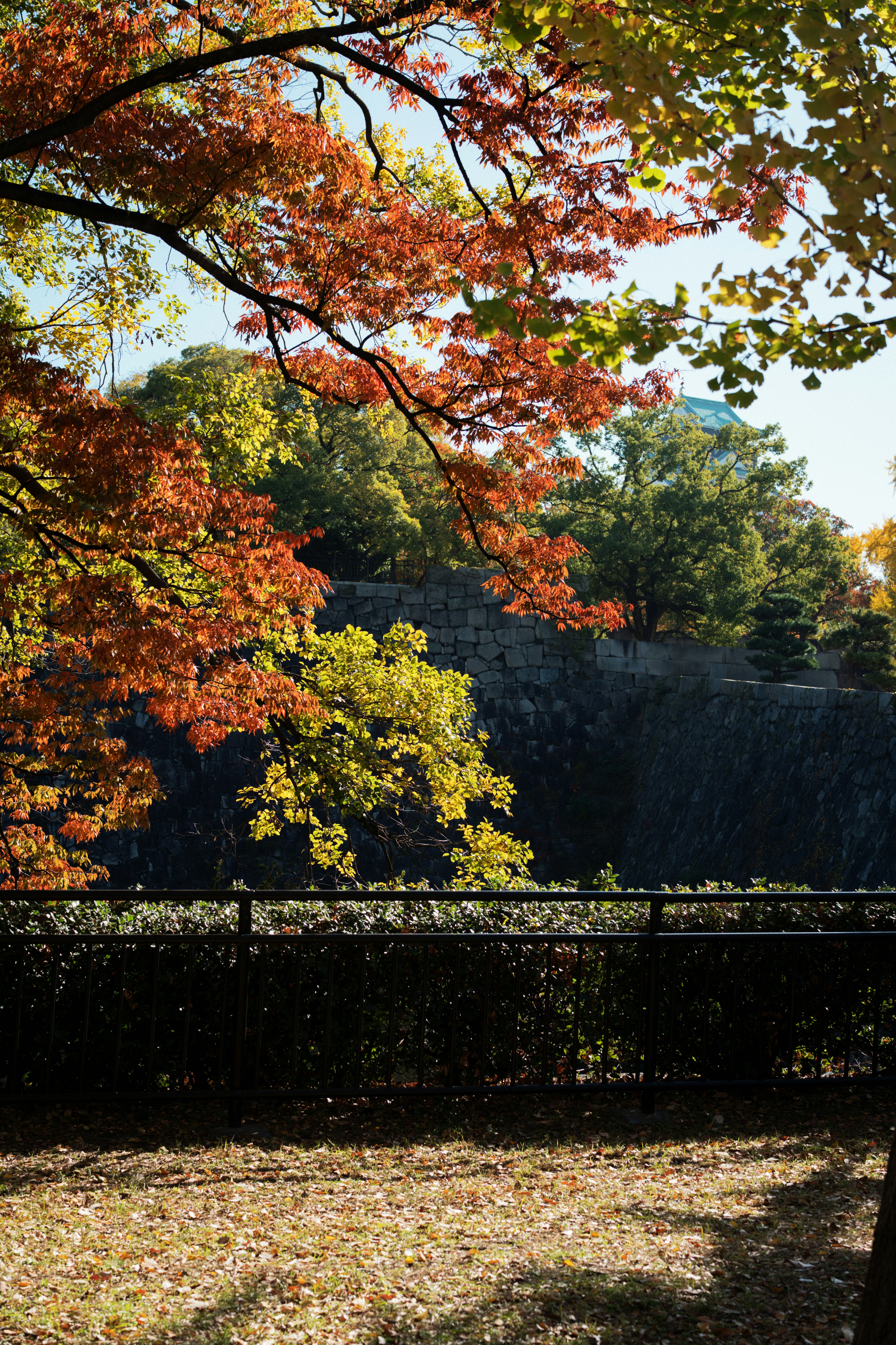 Autumn Arc: Red Leaves Framing an Ancient Stone Wall