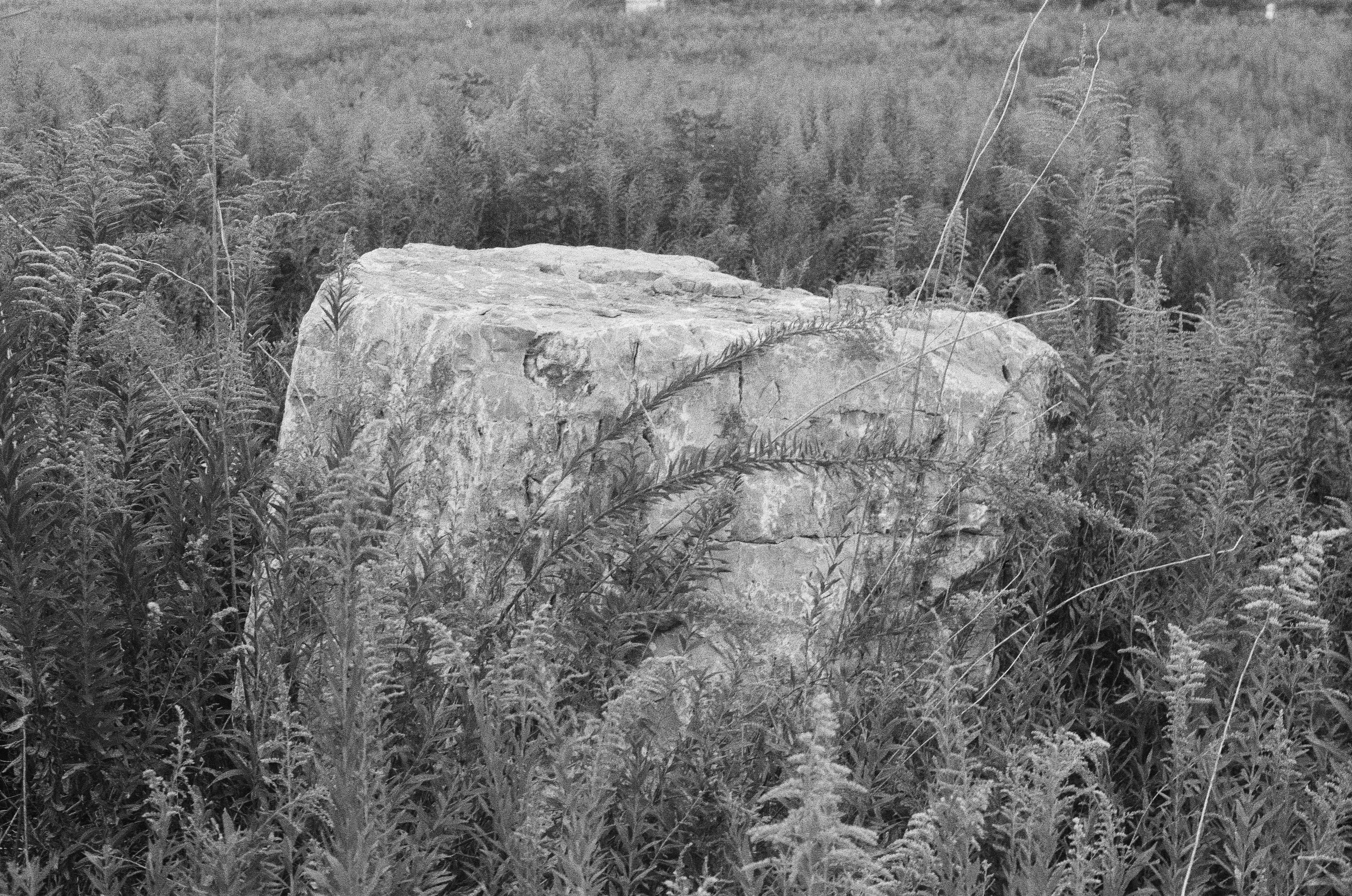 A weathered stone monument in tall grass. photo – Free Earth Image on ...