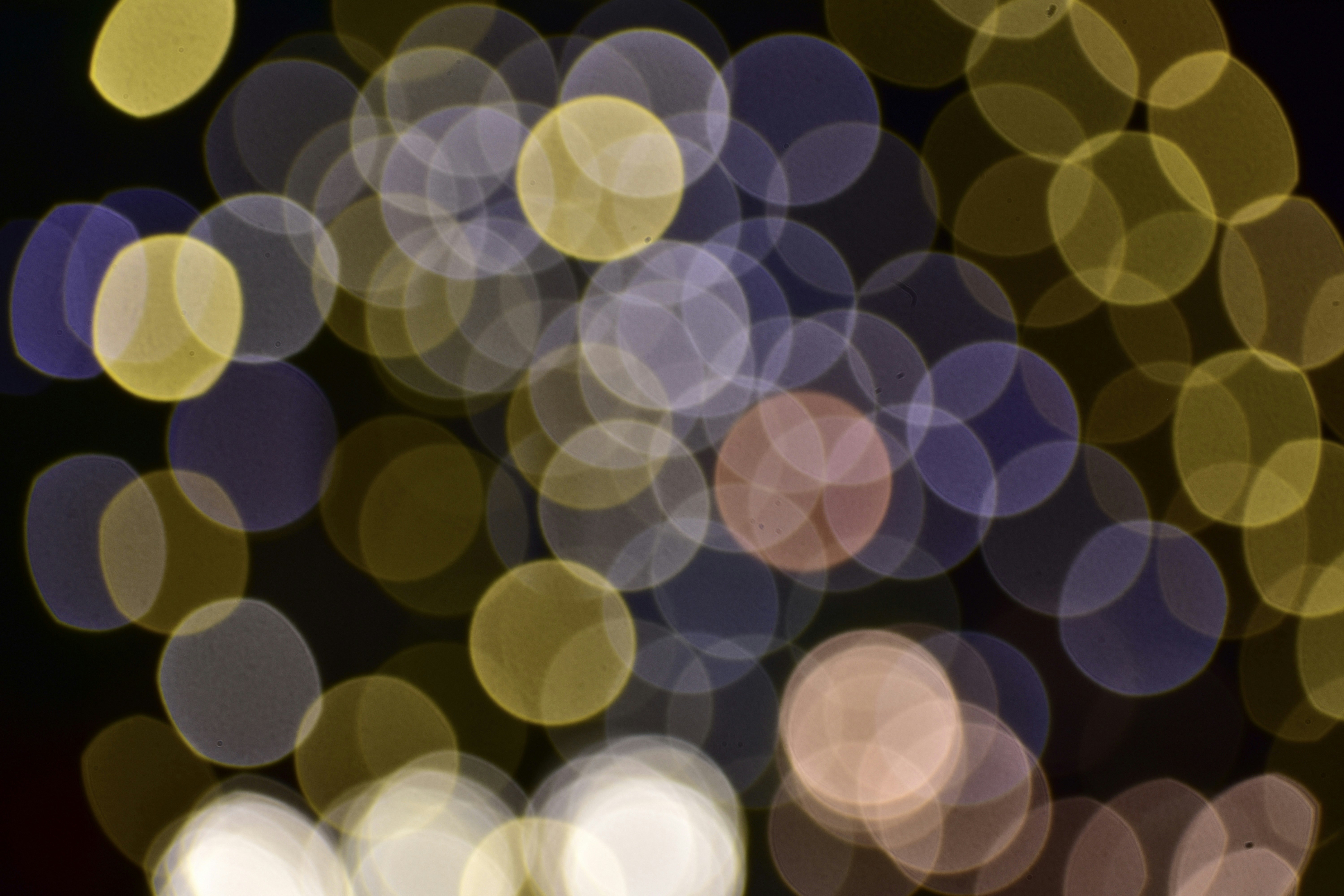 Photo by Neelakshi Singh with Nikon D3400