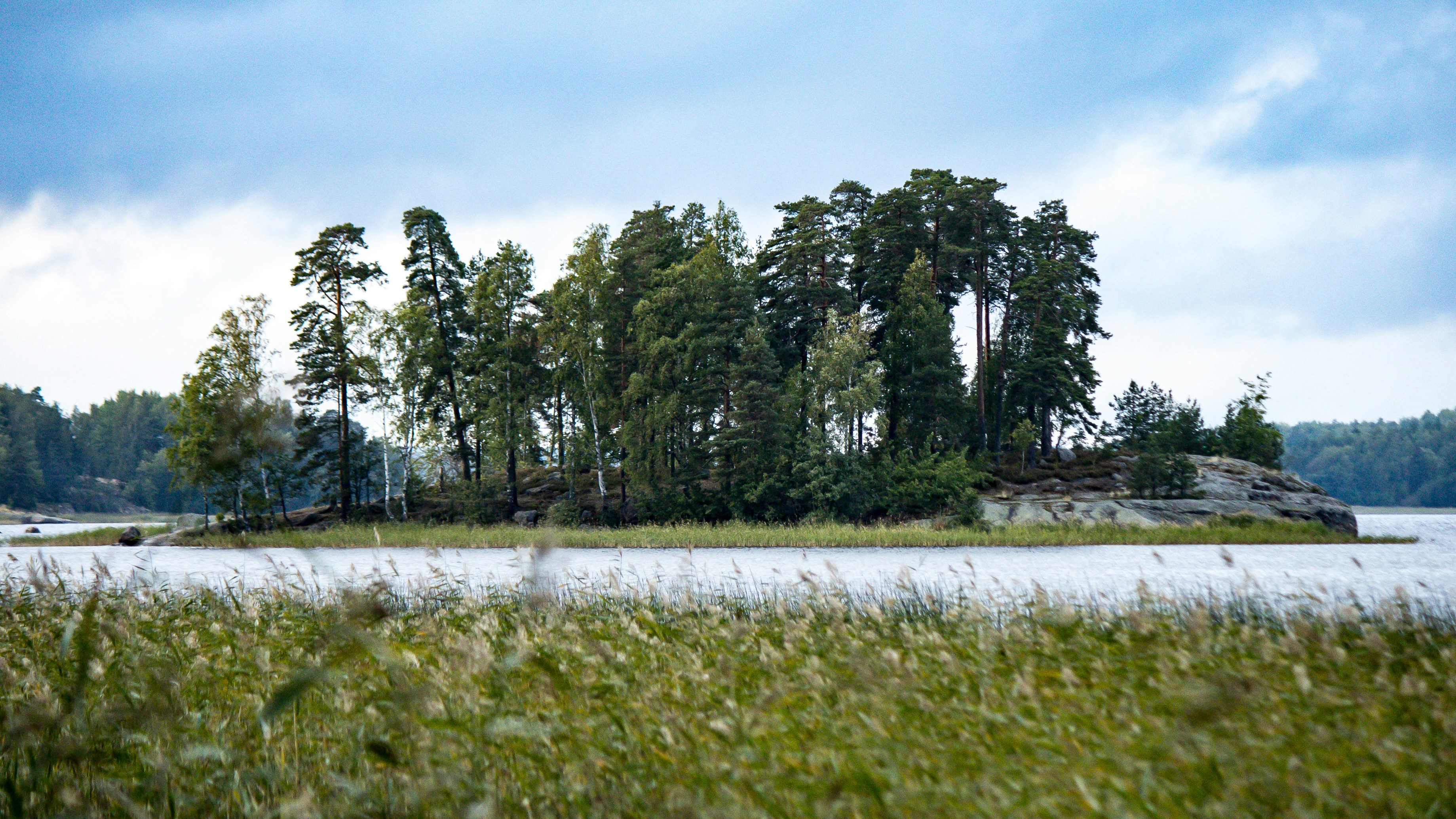 Island of Pines: A Quiet Communique Across Water