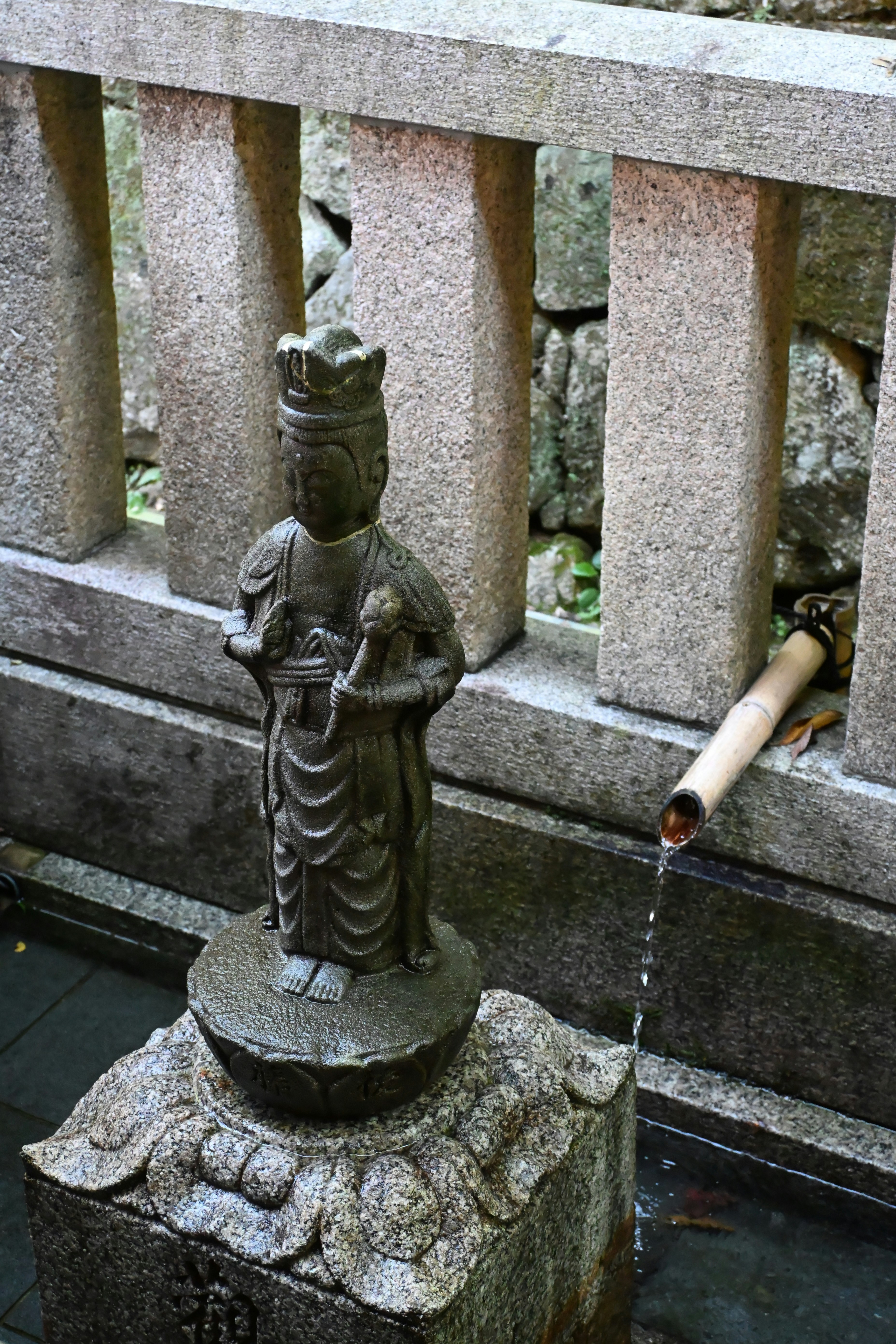 Photo by K ZHAO with Nikon Z50 II