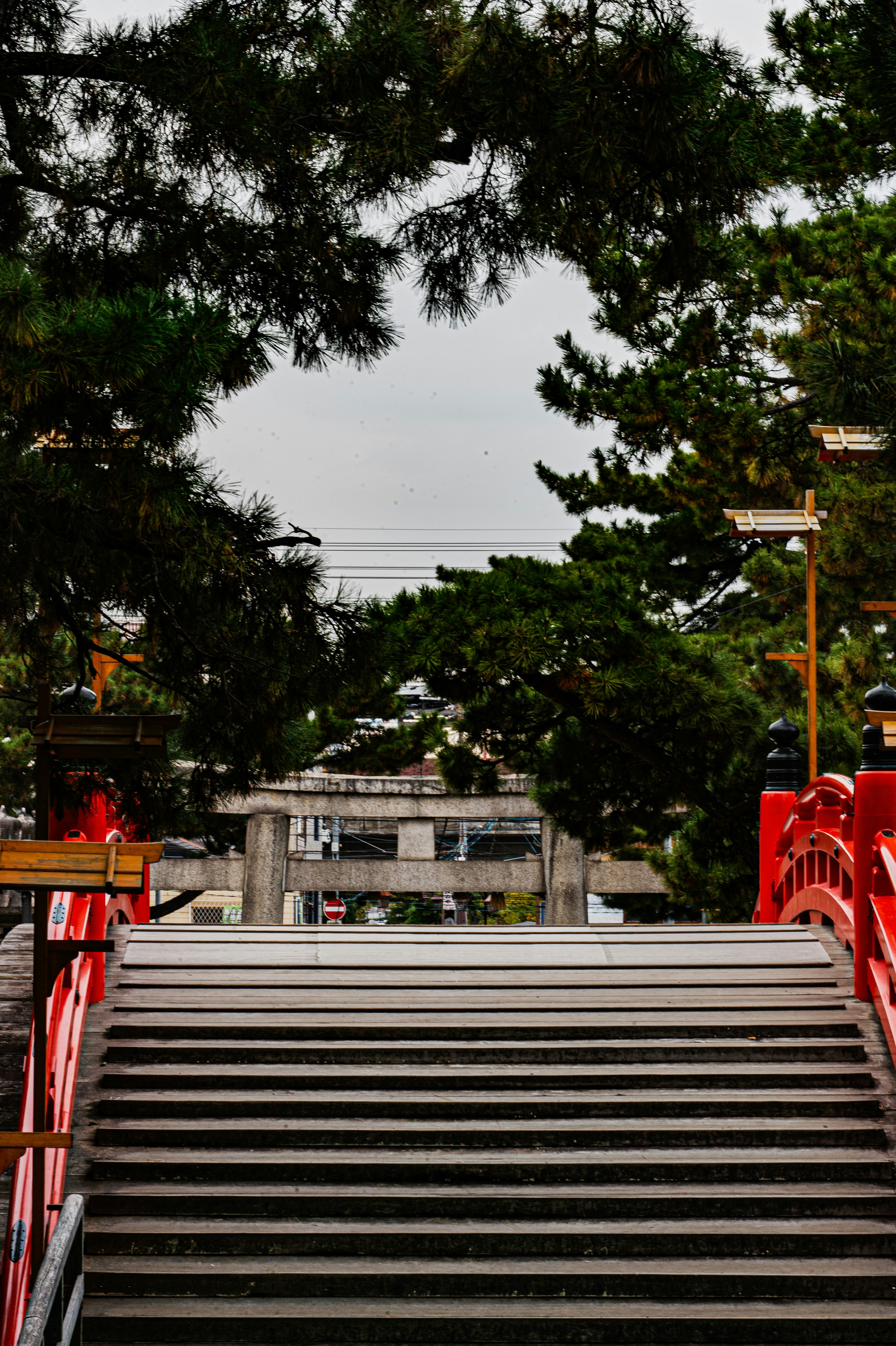 Photo by 5010 with Nikon Df