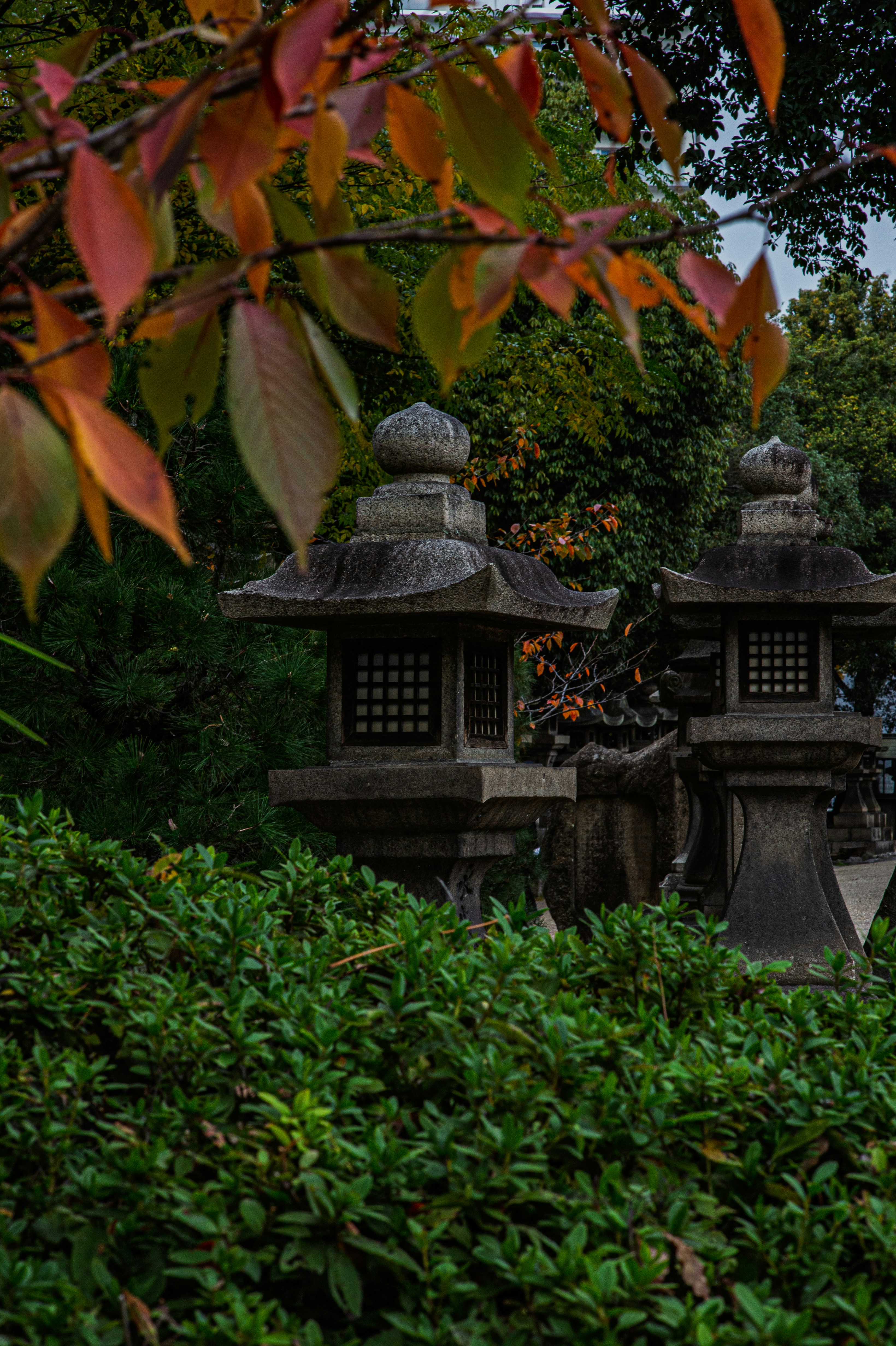 Autumn Lanterns Among Quiet Stone Guardians