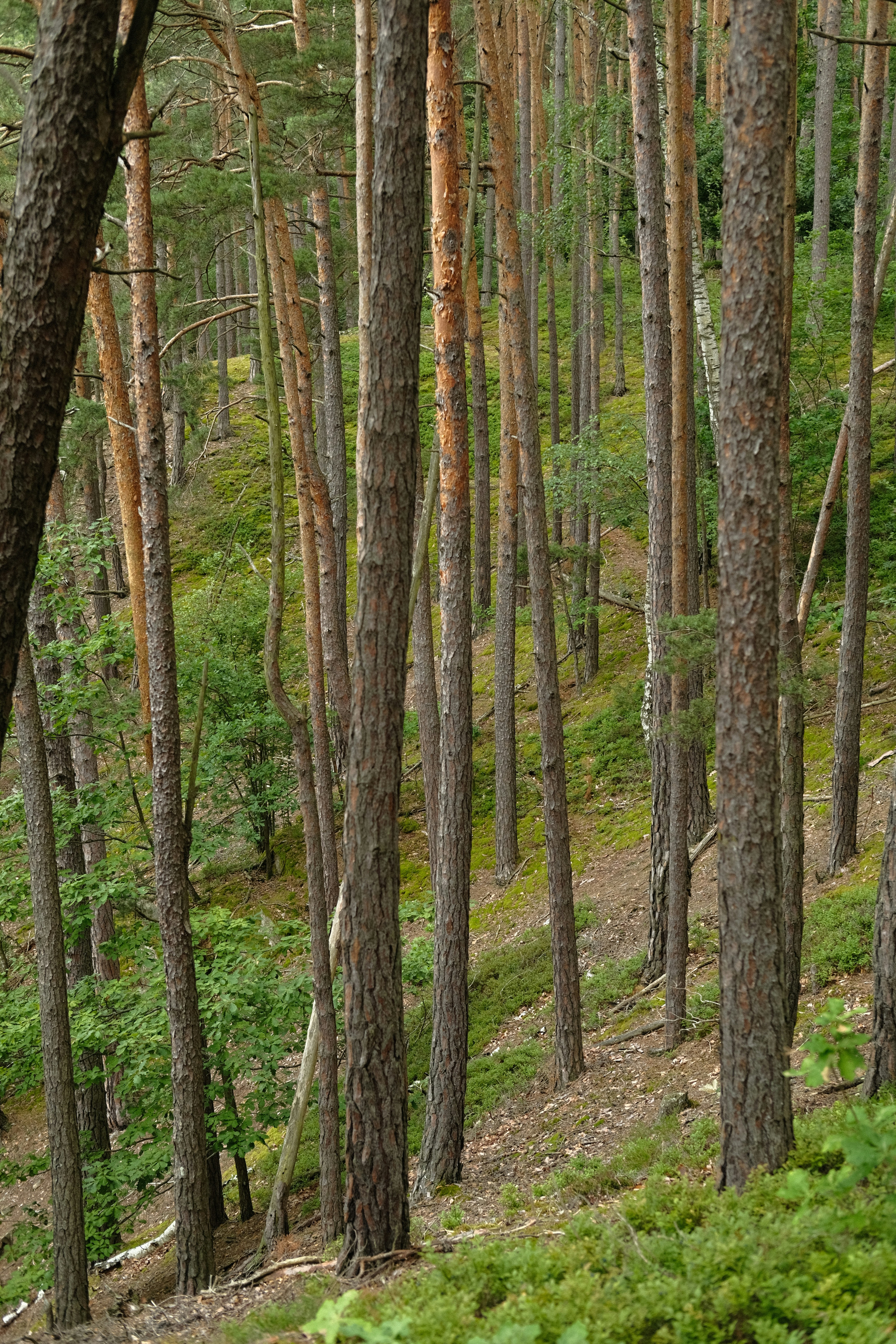 Photo by Josef Litoš with Fujifilm X-T2