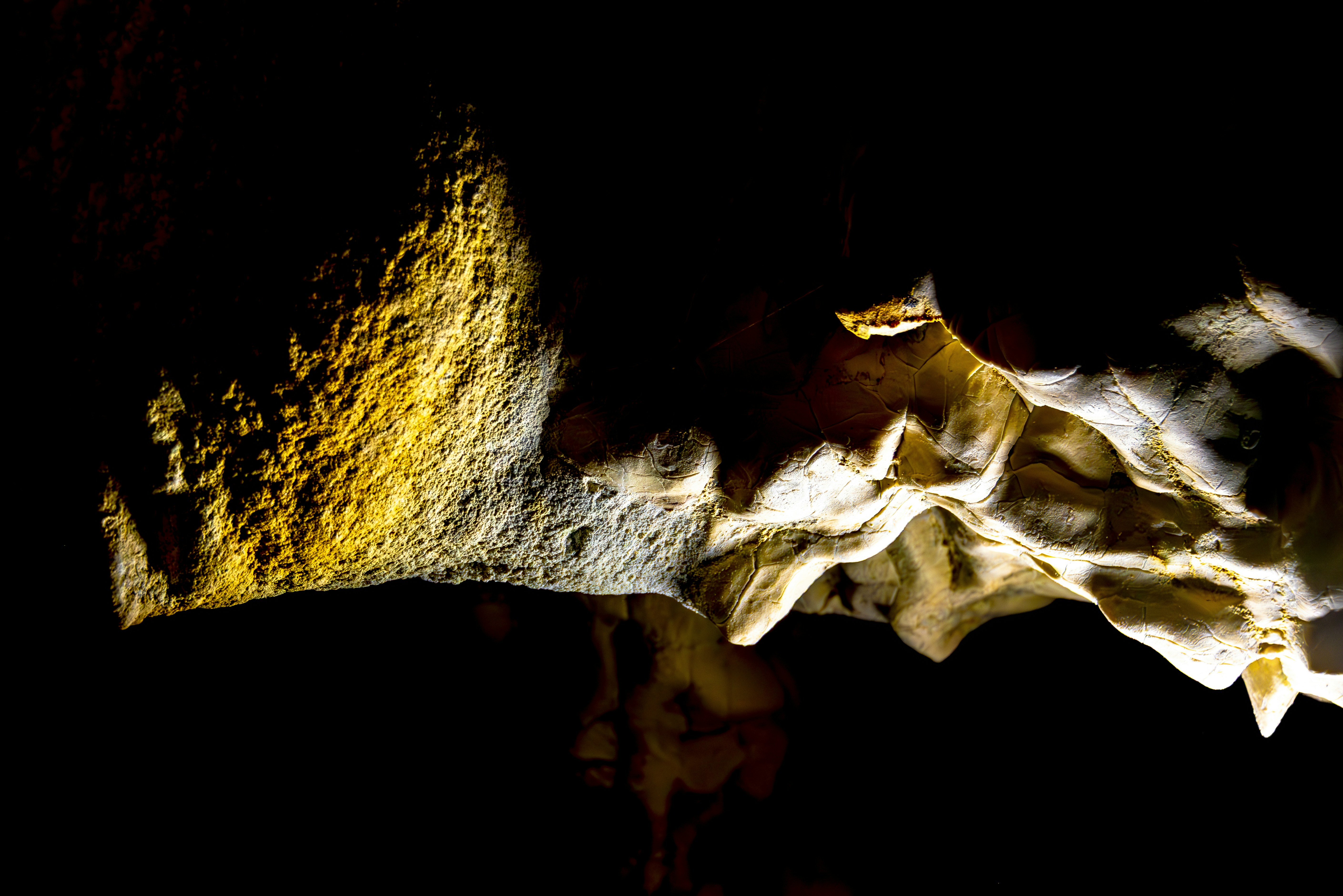 Photo by Philippe BONTEMPS with Nikon D750