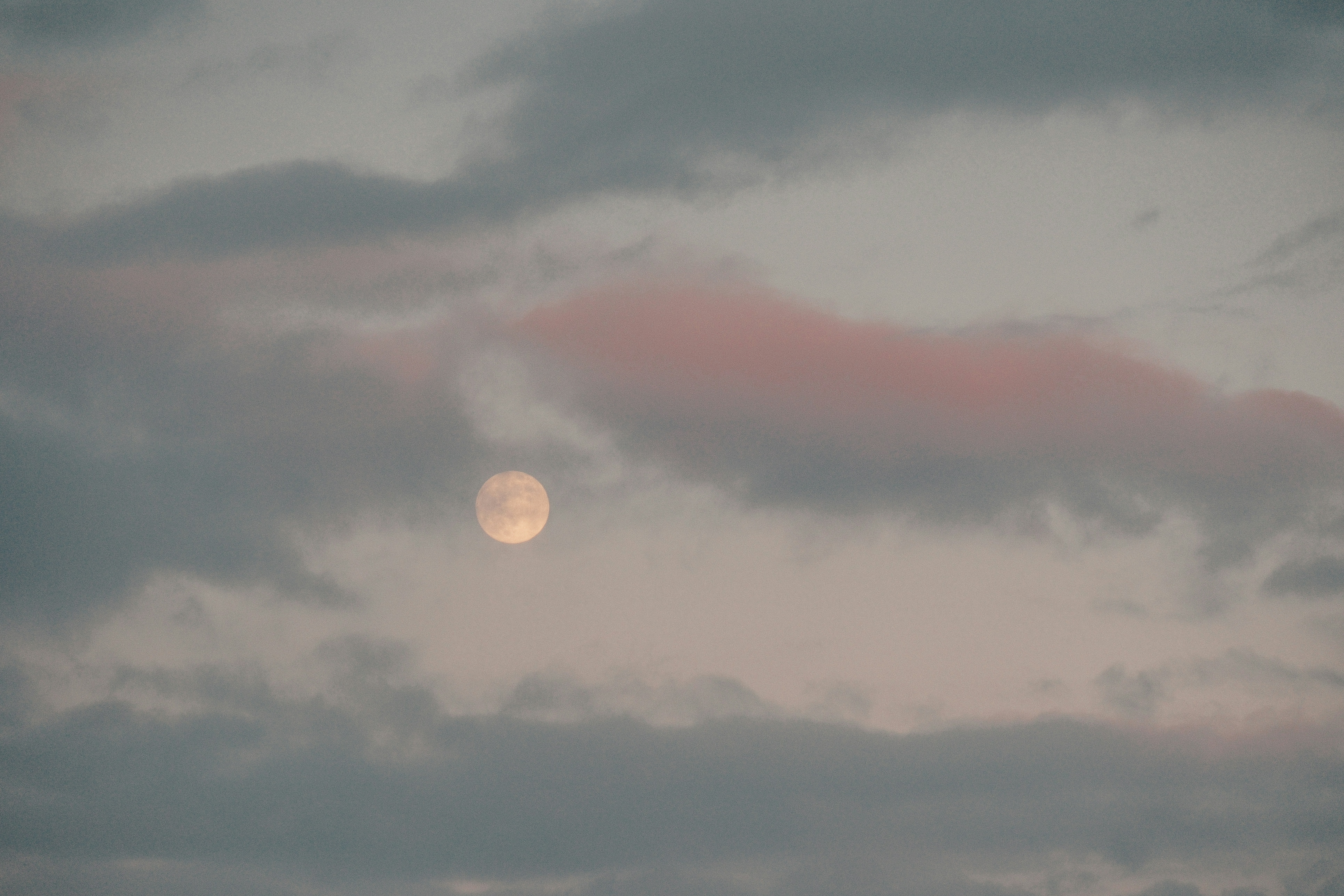 Photo by Will Xiang with Fujifilm X-T5