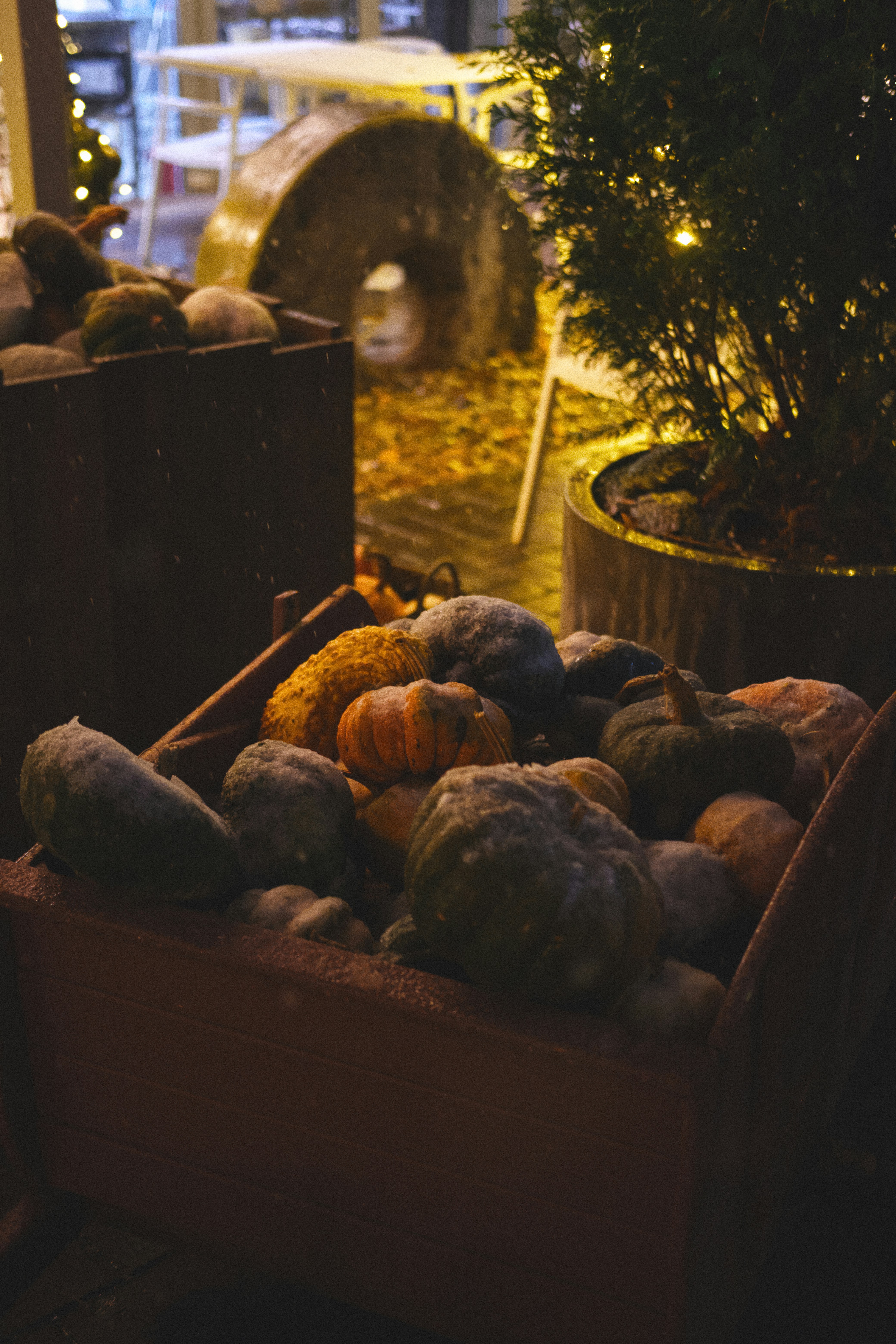 Harvest Lights: Pumpkins, Frost, and Evening Street Glow