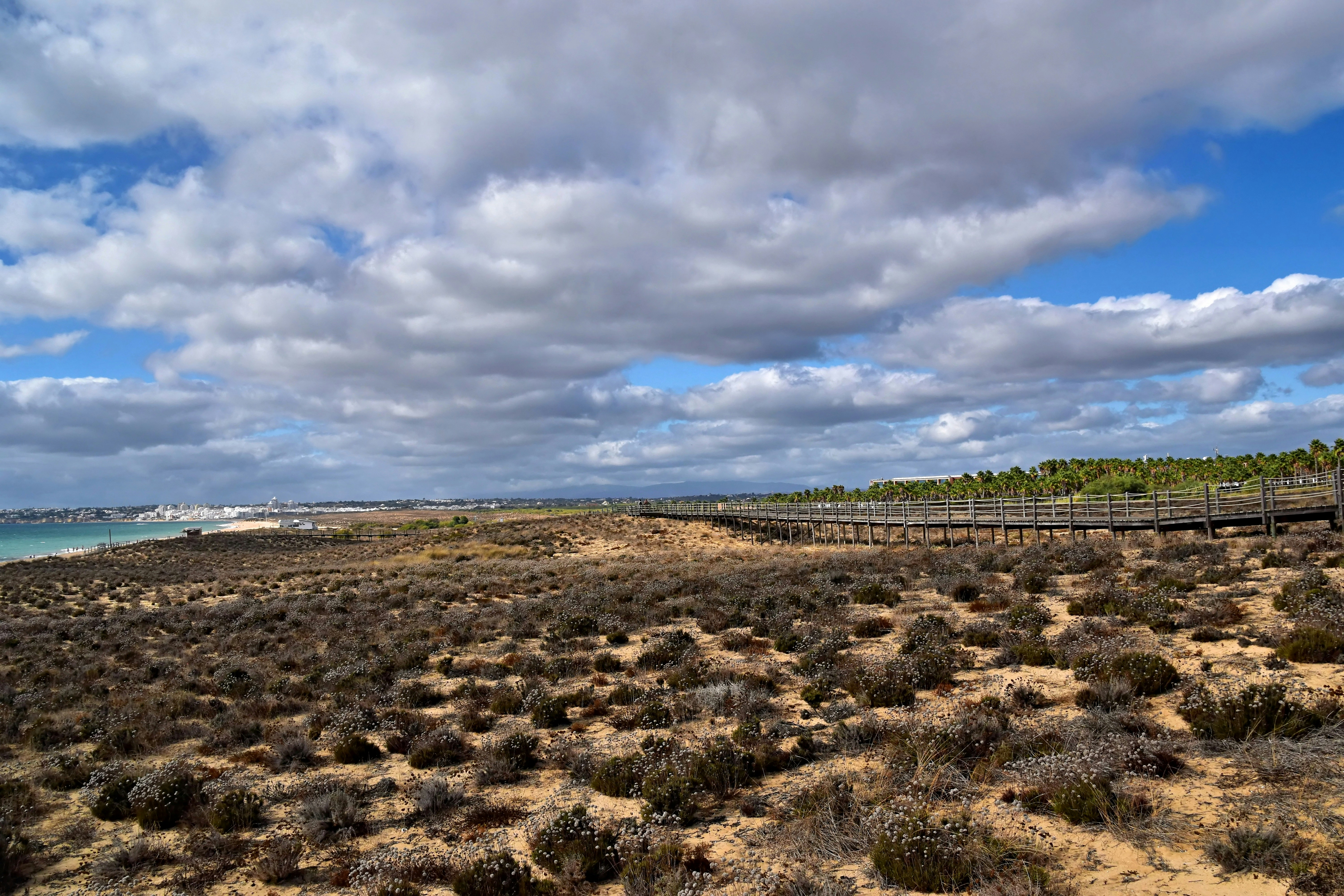 Photo by Jeffrey Eisen with Nikon D5600