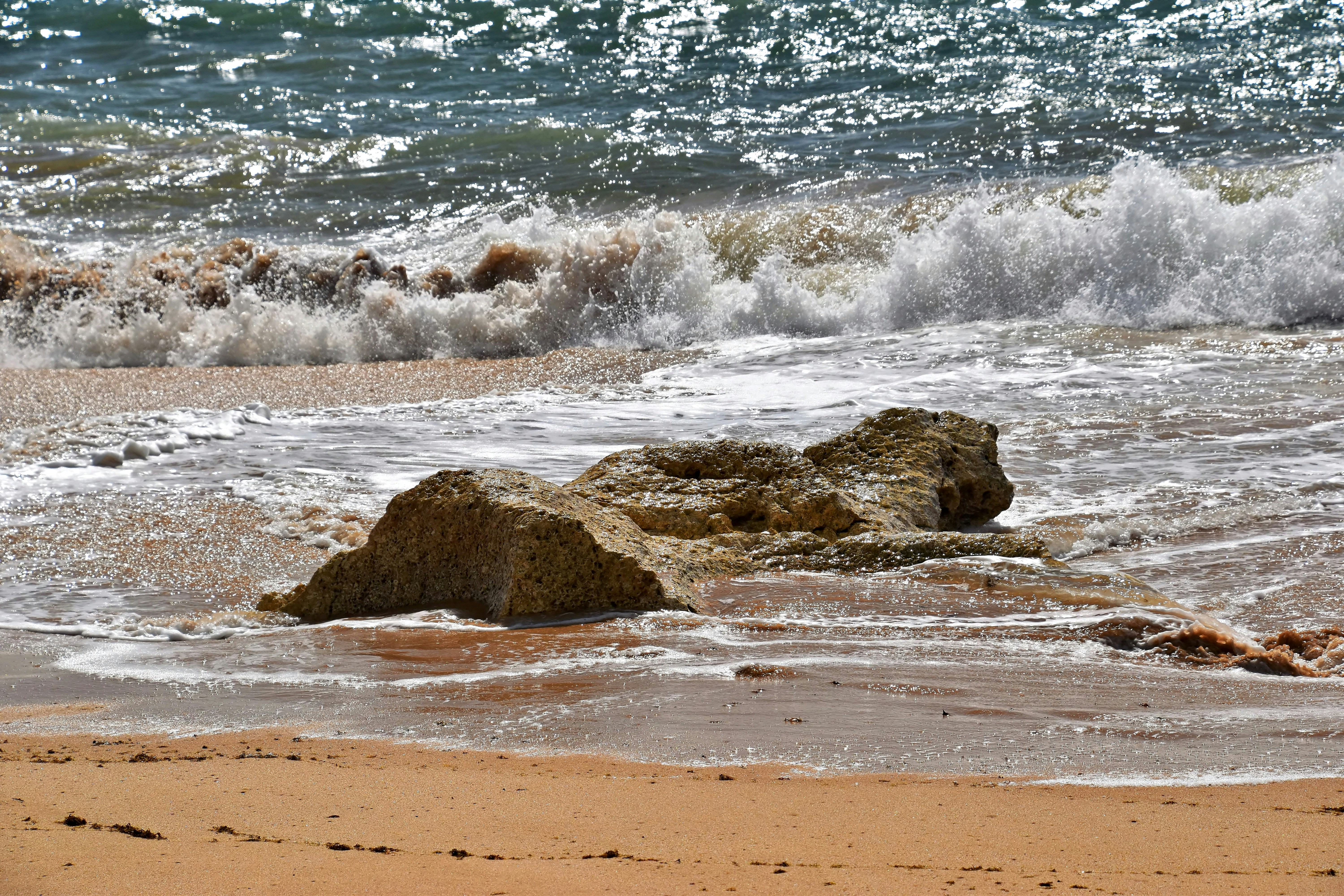 Rugged Seashore: Stones Anchoring the Tidal Edge