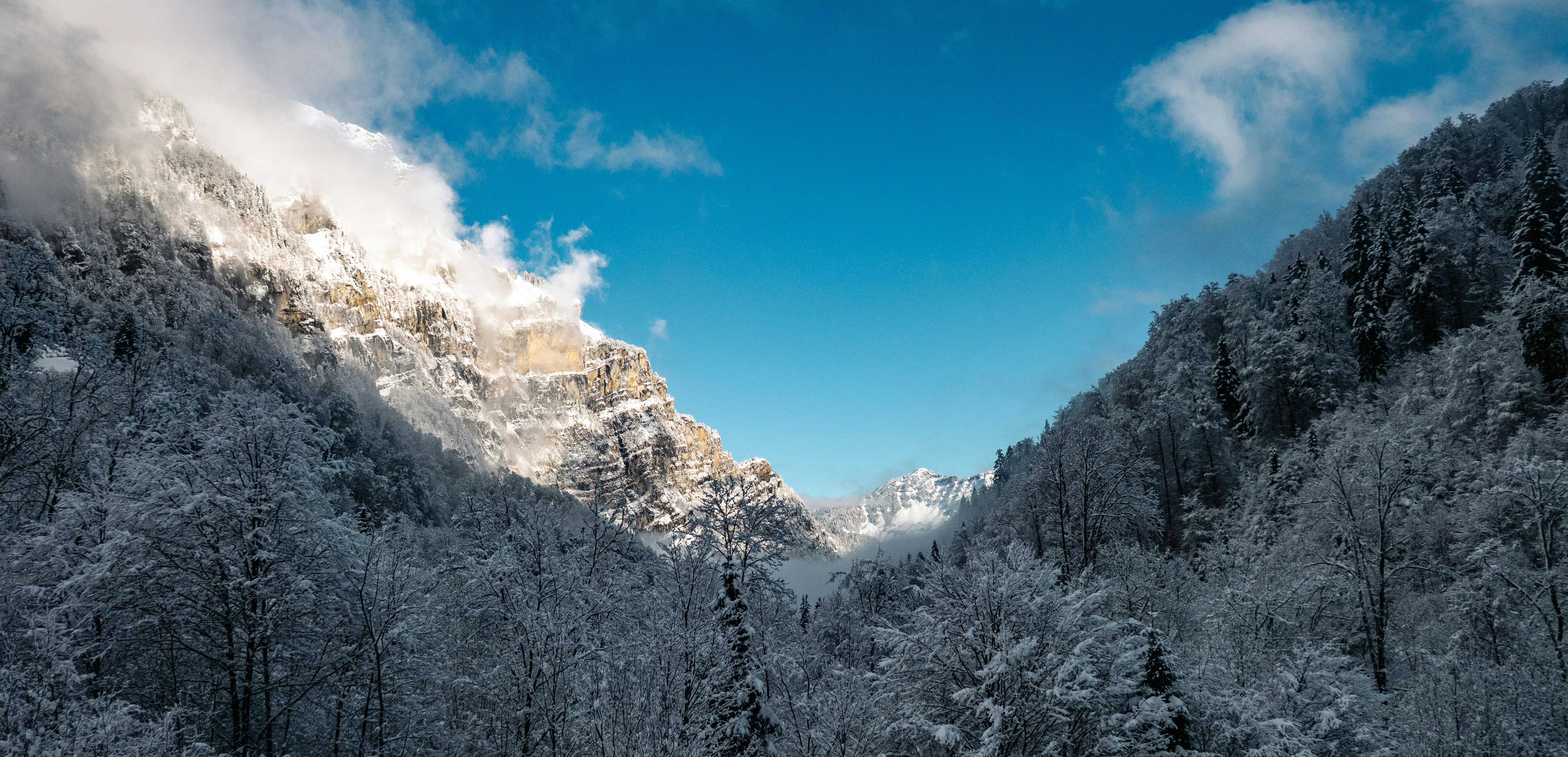 Photo by Christopher Politano with Panasonic Lumix G9