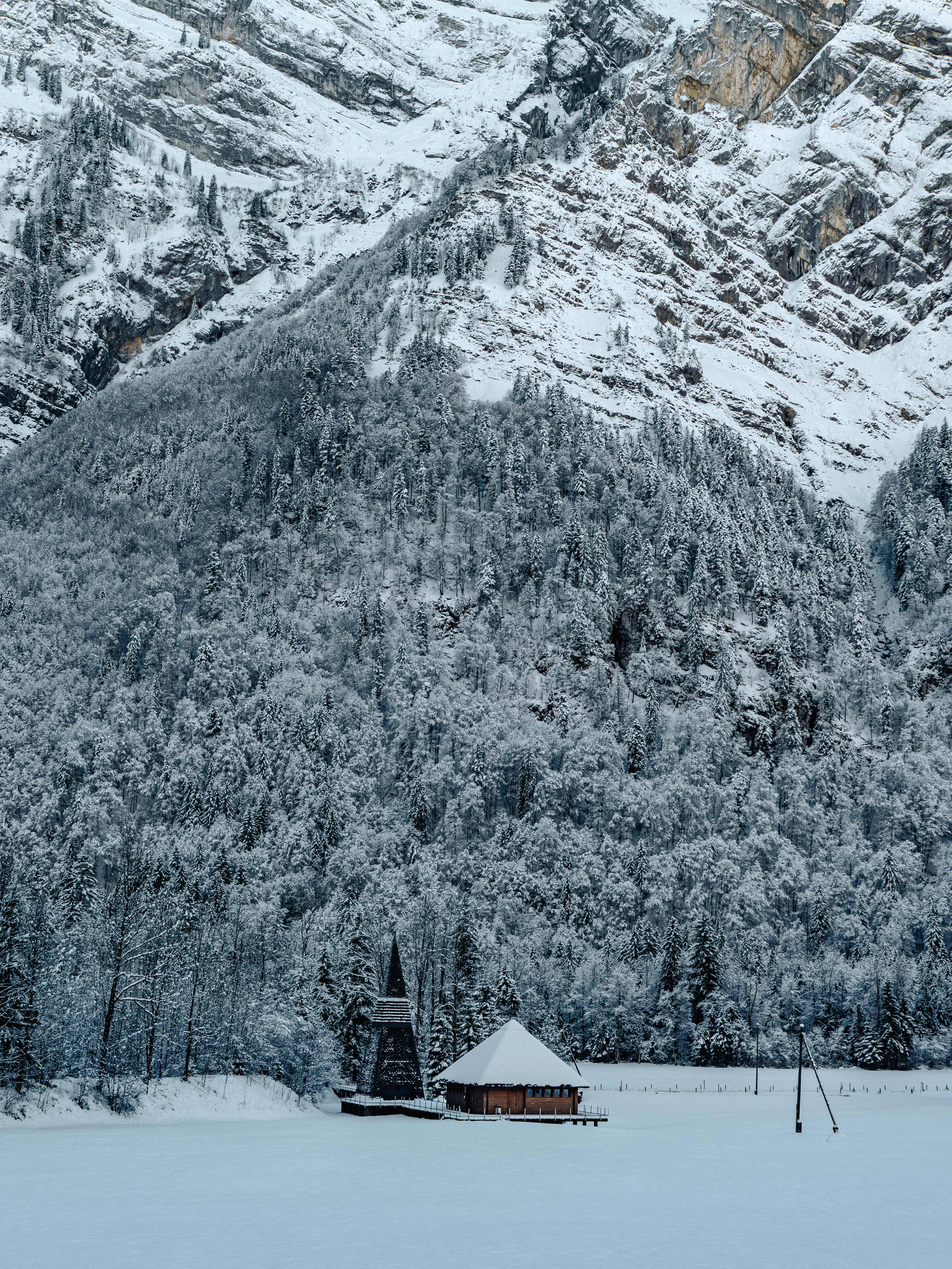 Photo by Christopher Politano with Panasonic Lumix G9