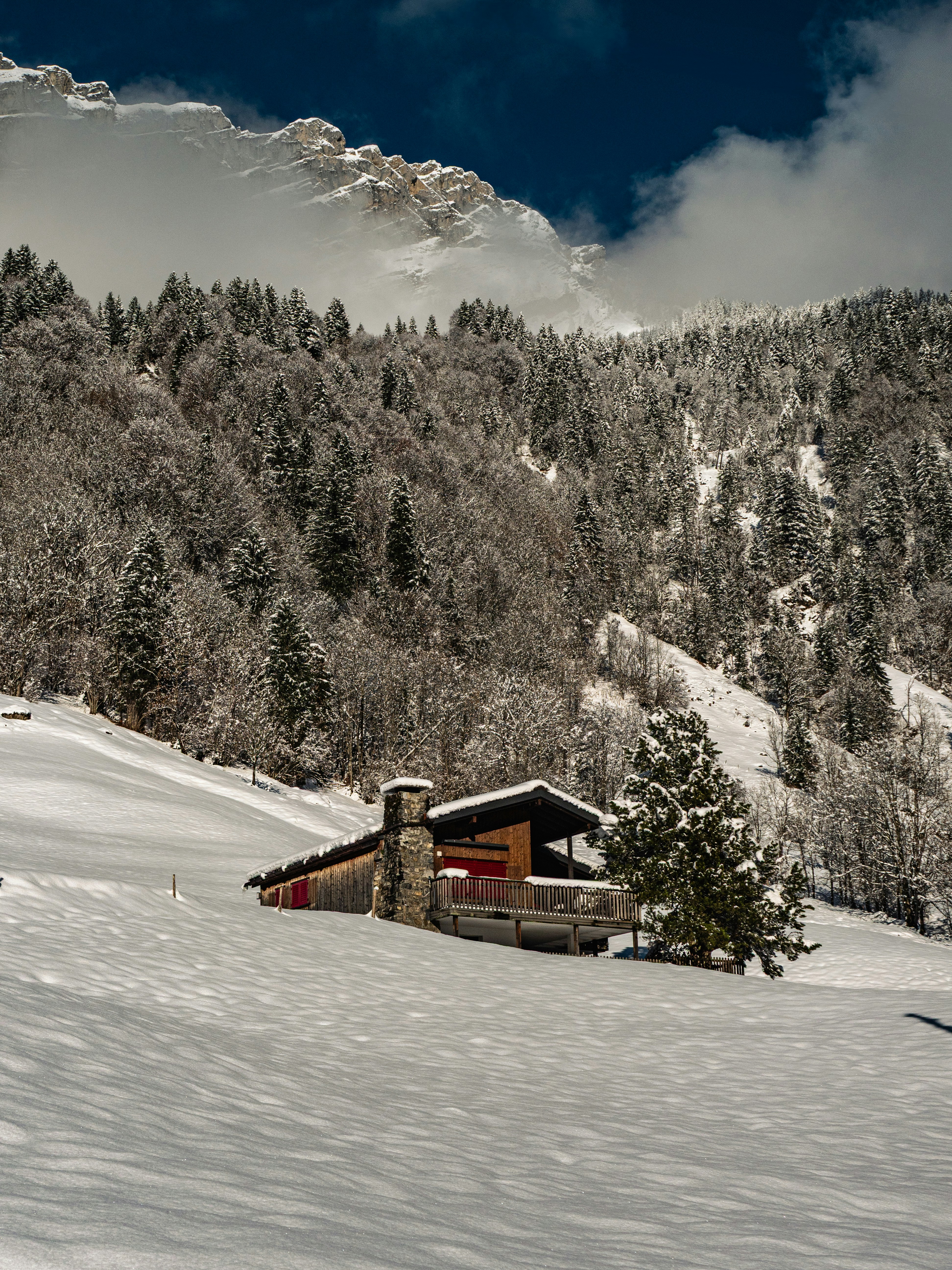 Snowbound Chalet Nestled Beneath Alpine Pines
