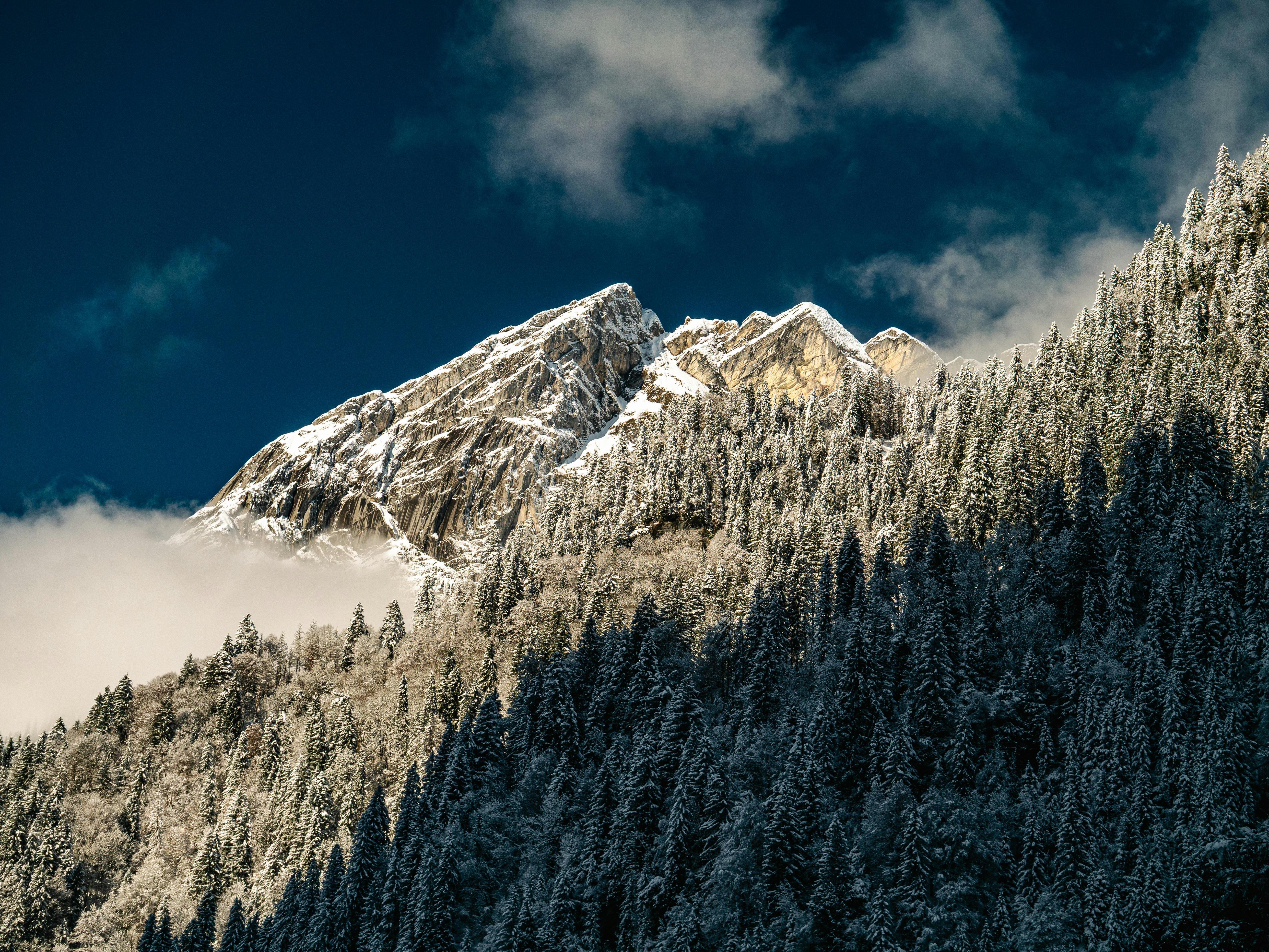 Photo by Christopher Politano with Panasonic Lumix G9