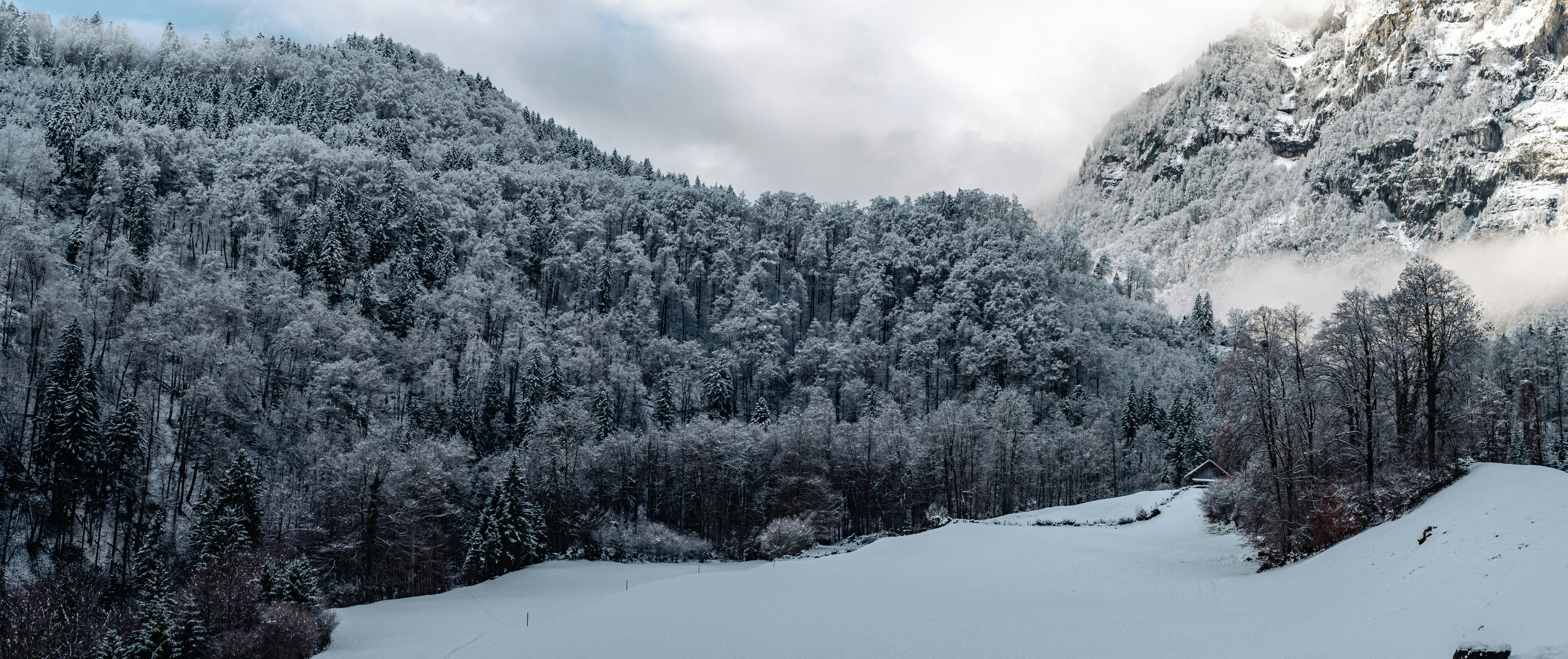 Snowbound Gallery: A Quiet Panoramic Winter Basin