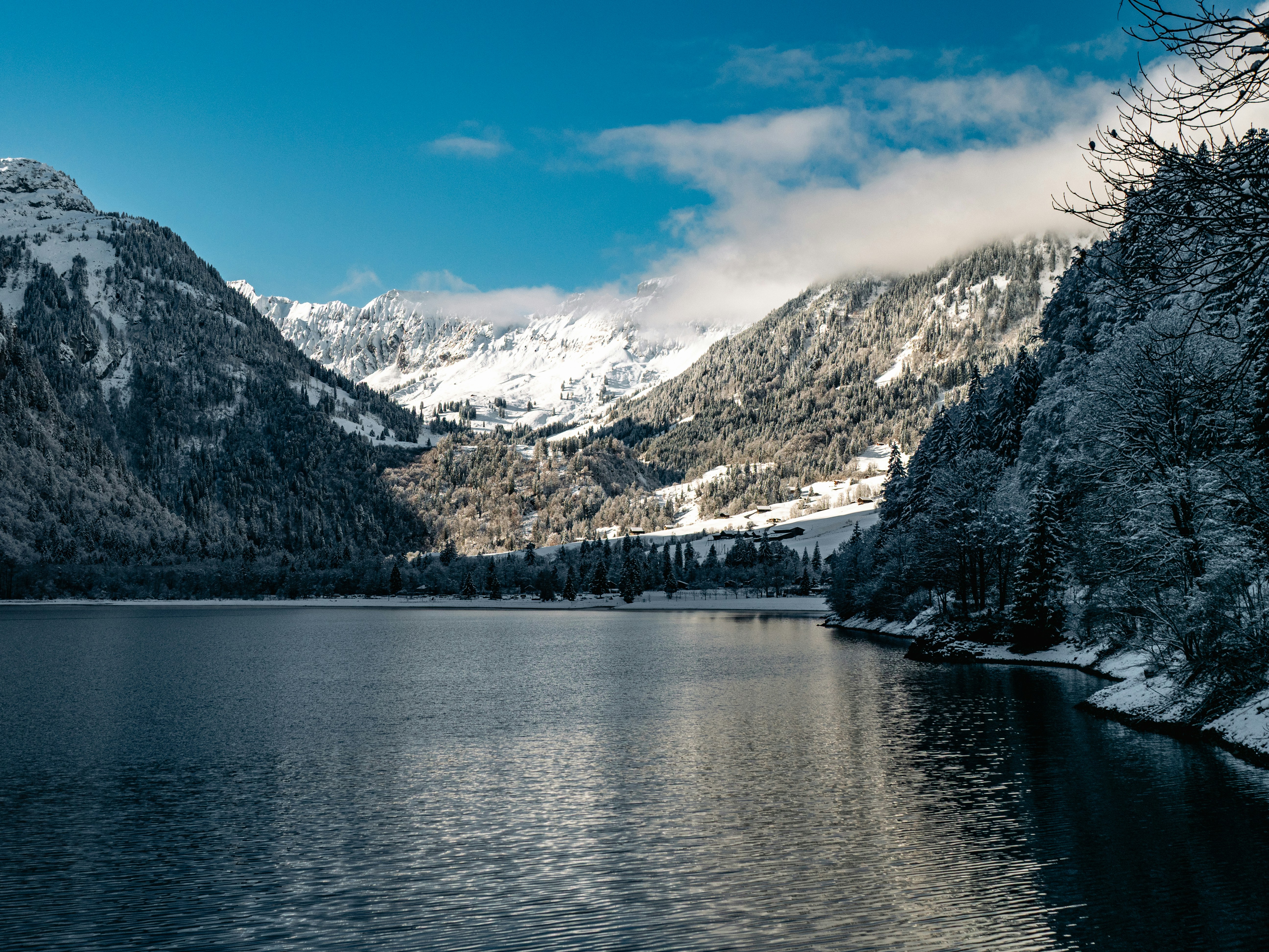 Photo by Christopher Politano with Panasonic Lumix G9