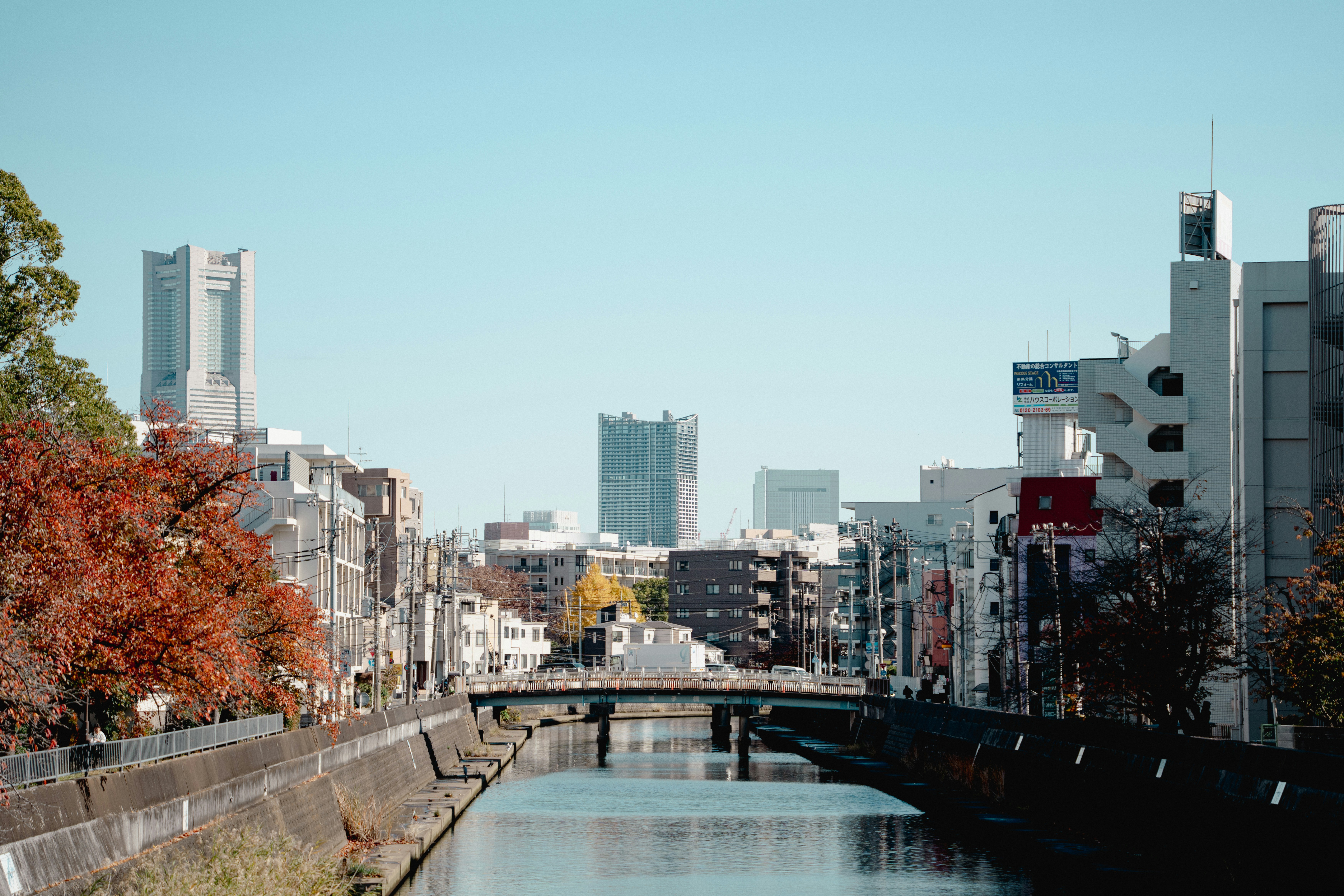 Photo by XS Xue with Sony Alpha 7C II