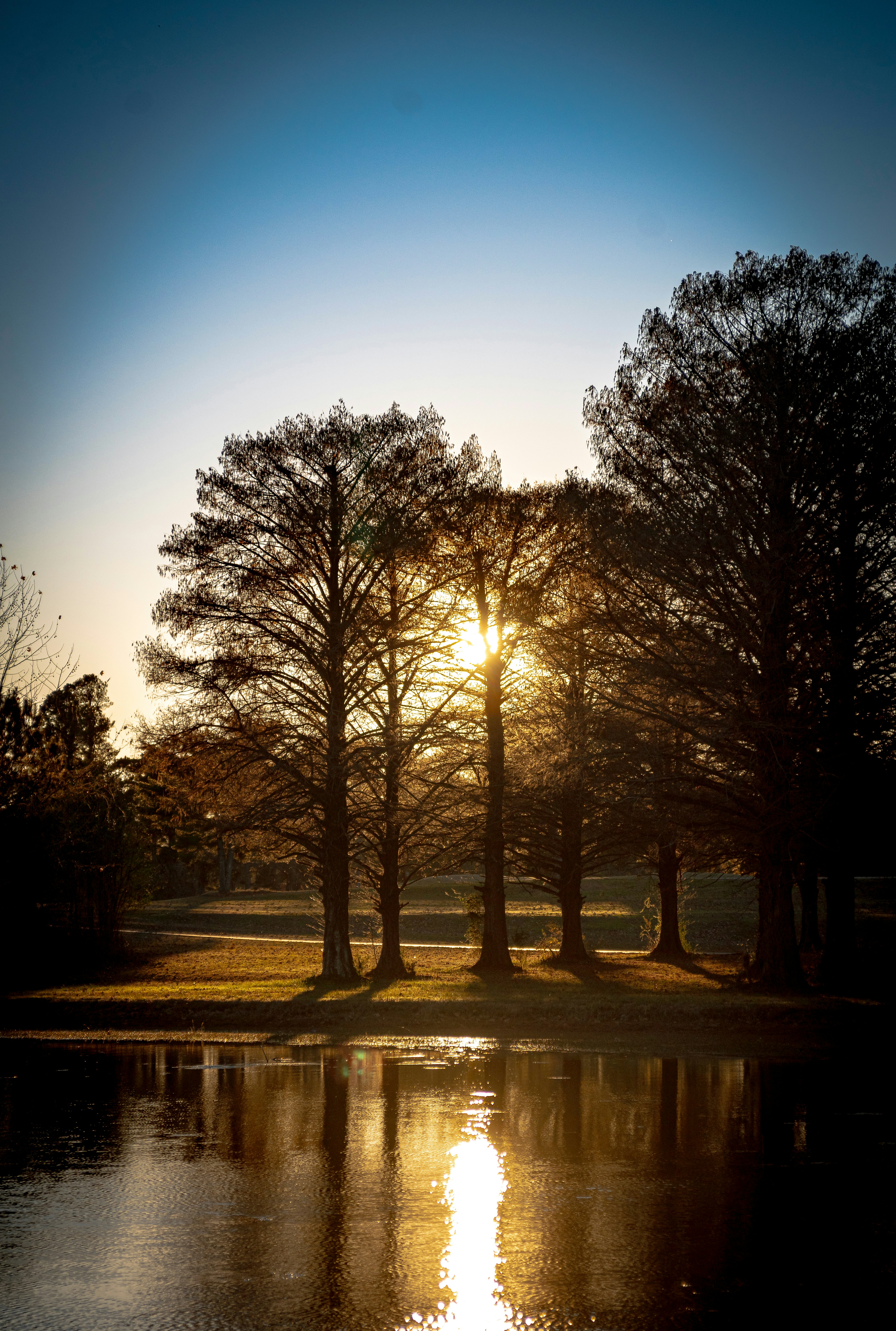 Just before sundown over a pond