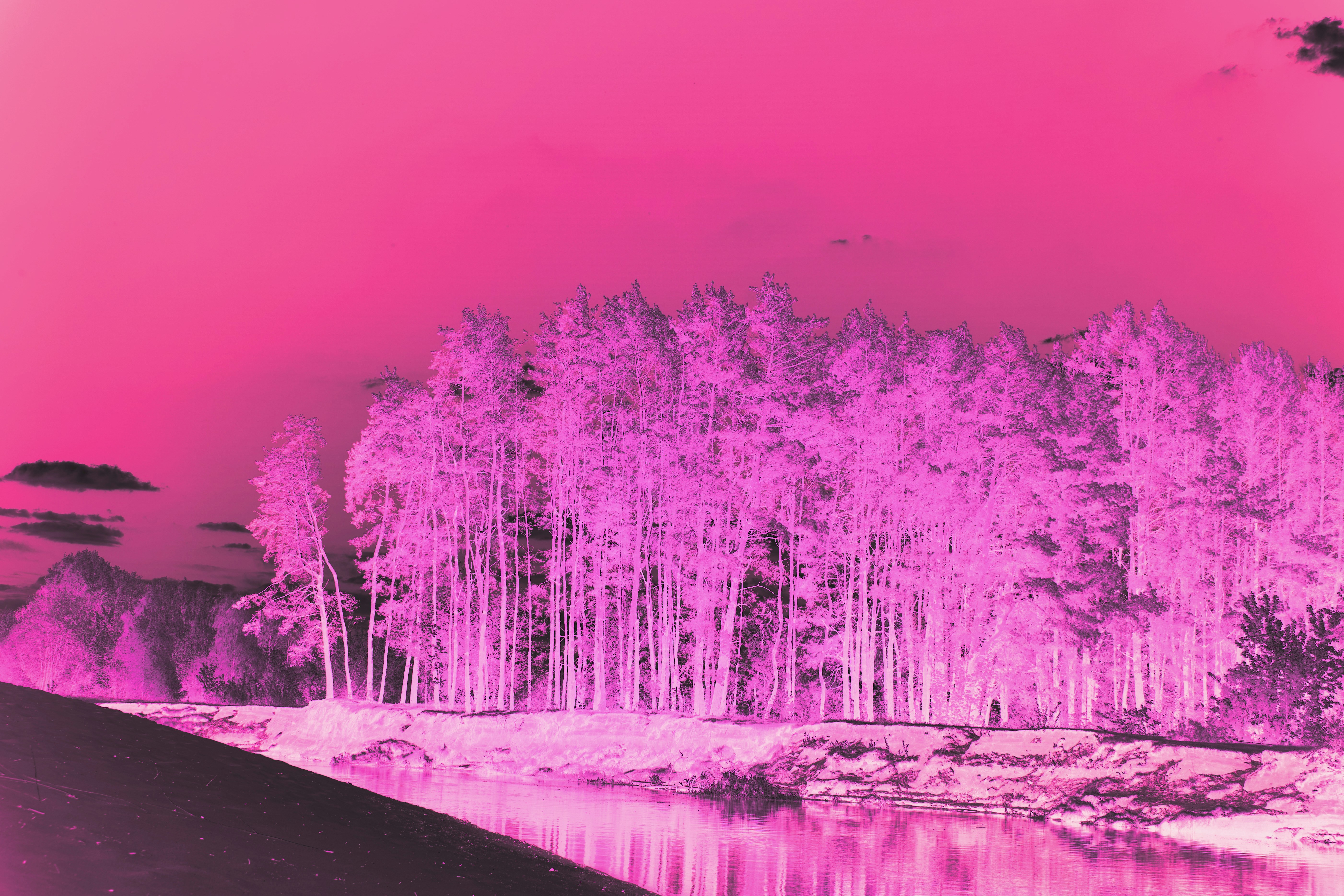 Photo by Wolfgang Hasselmann with Sony Alpha 7 IV