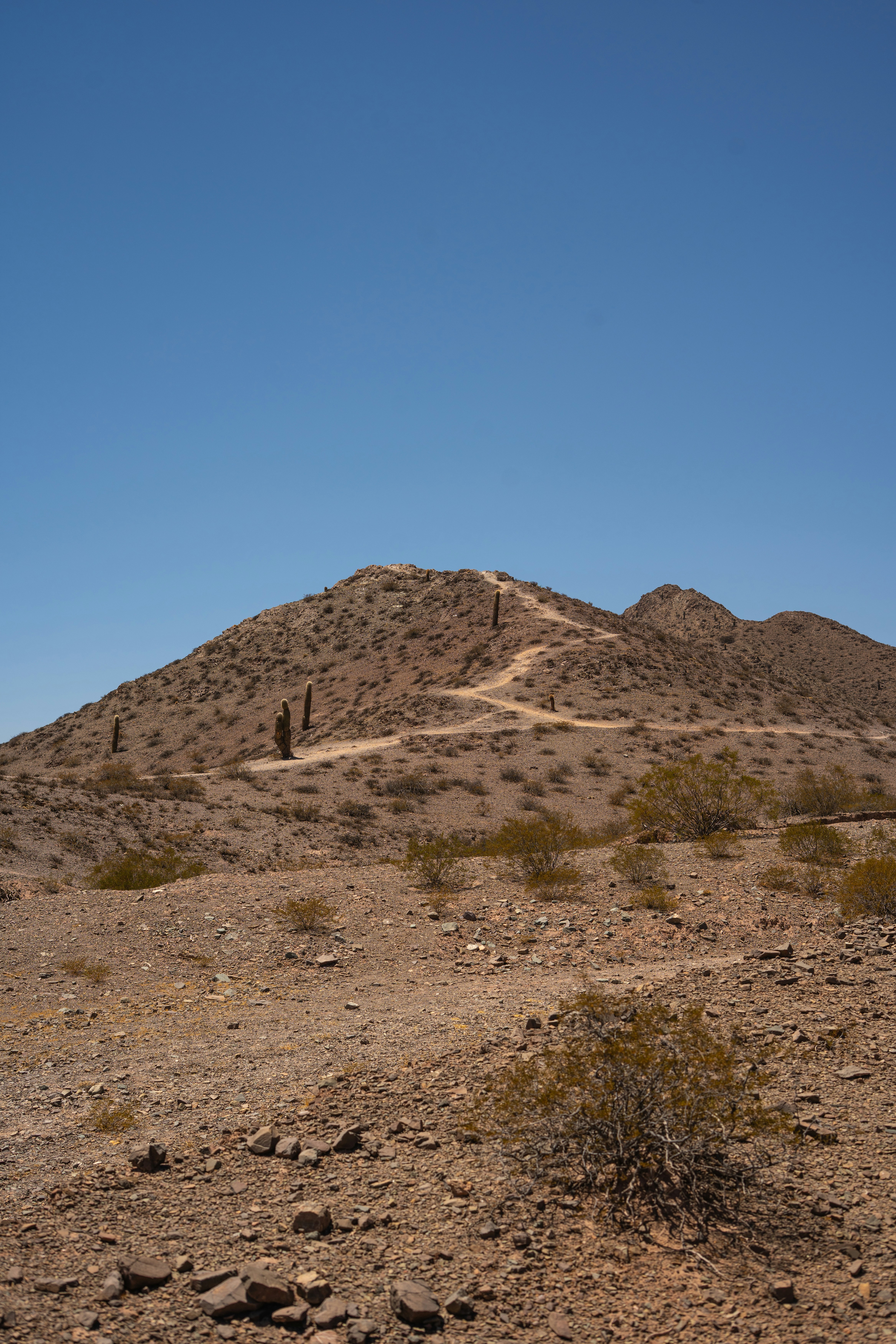 Desert landscape with a winding path up a hill. photo – Free Cactus ...