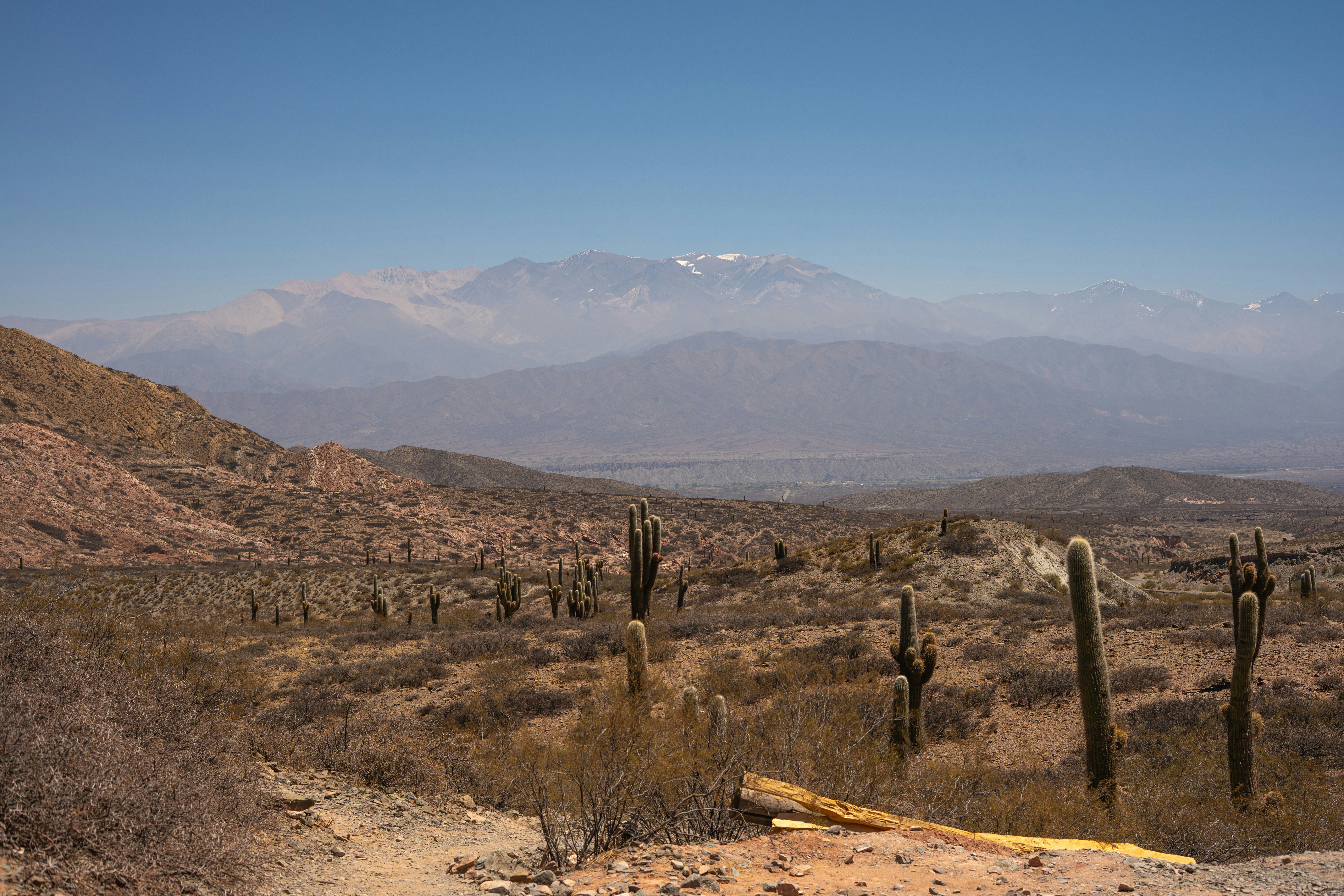 Layers of soft desert hills along Ruta 40 glowing under the afternoon sun.