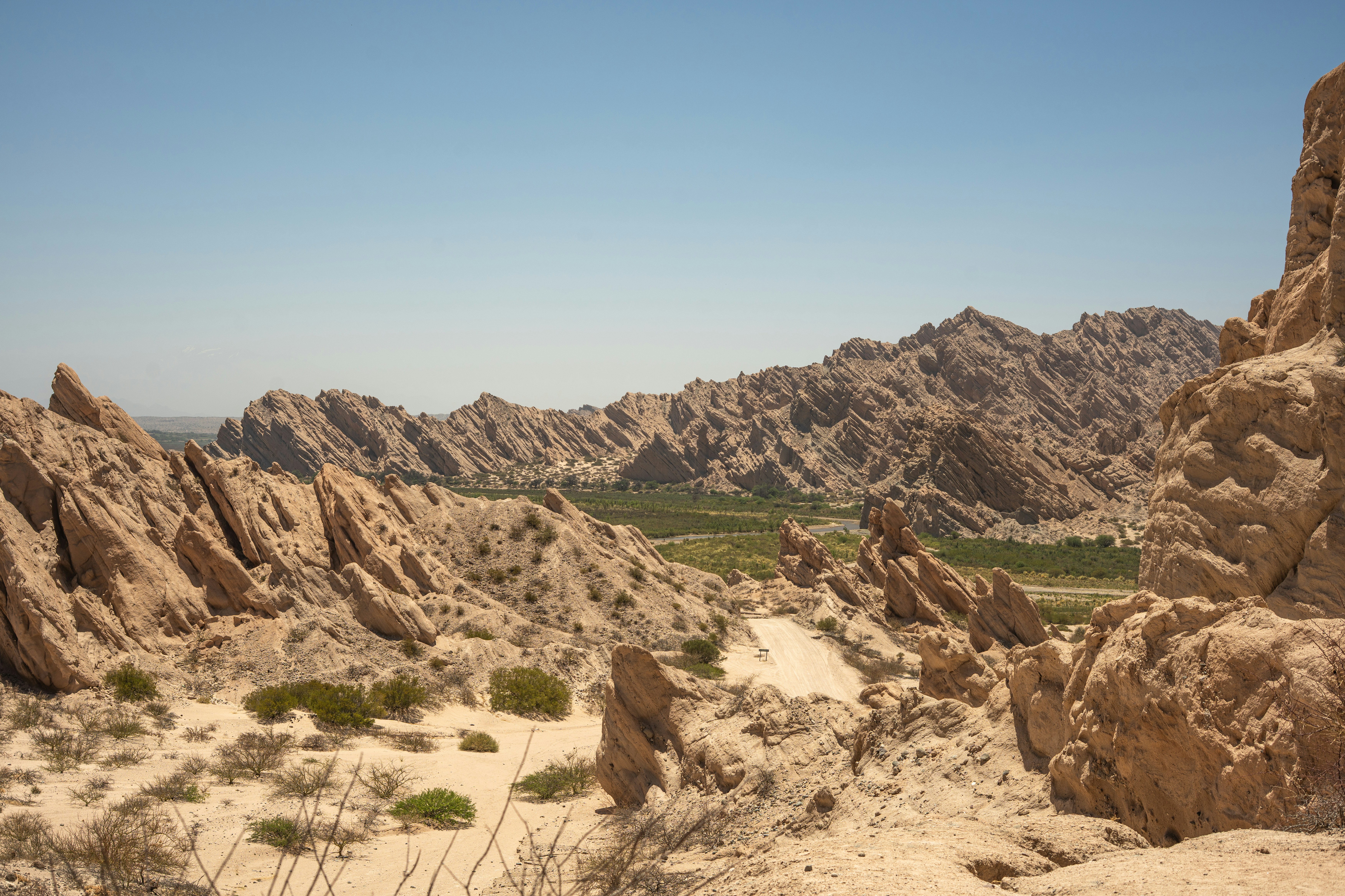 Desert Ridge Panorama: Echoes of Grit and Stone